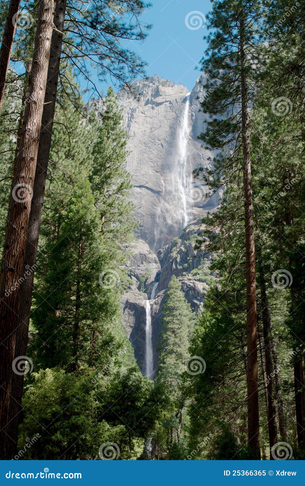 Mountain Waterfall in Forest Stock Image - Image of nature, forest ...