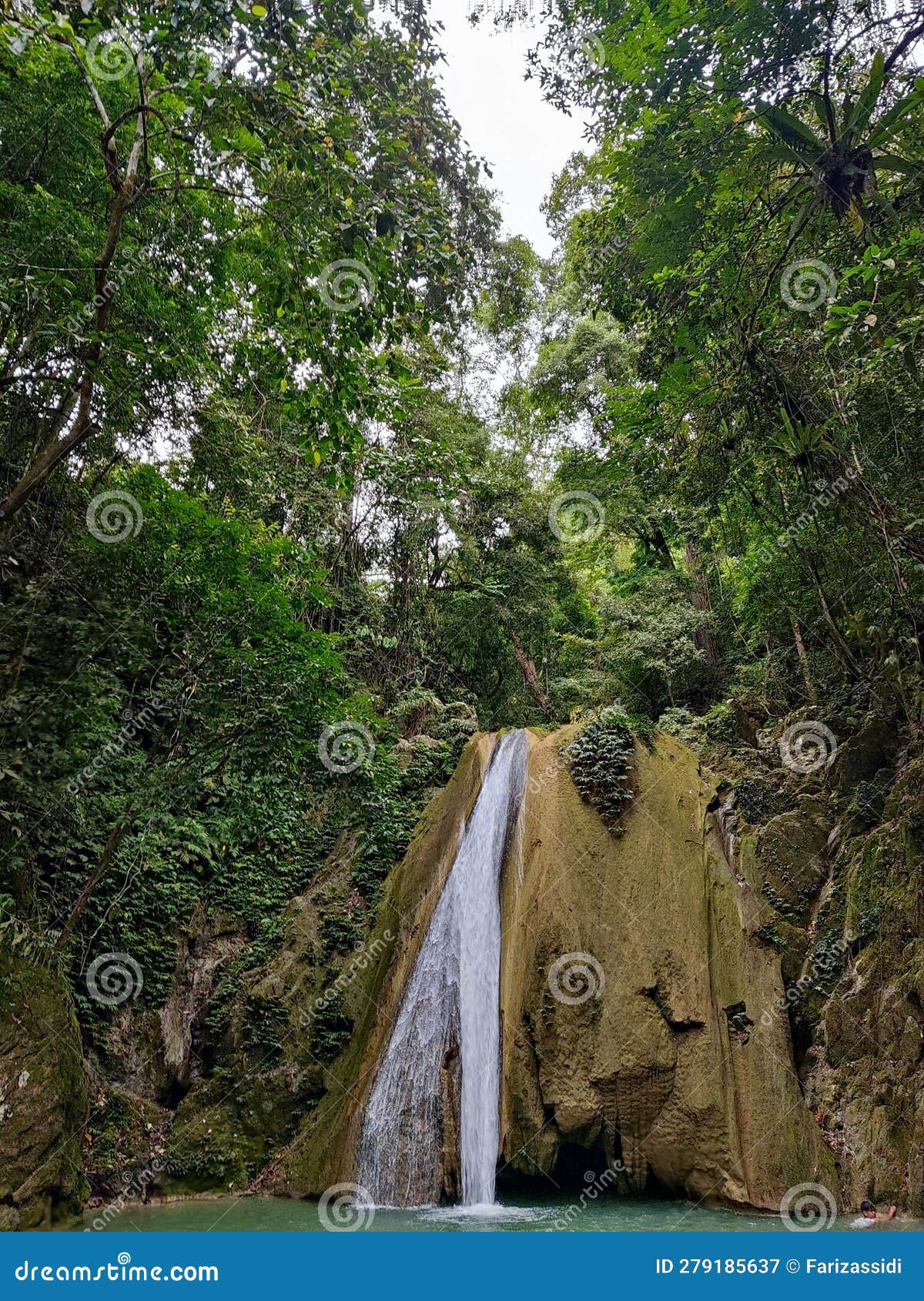 Mountain Waterfall, Grove of Trees Stock Image - Image of grove, forest ...