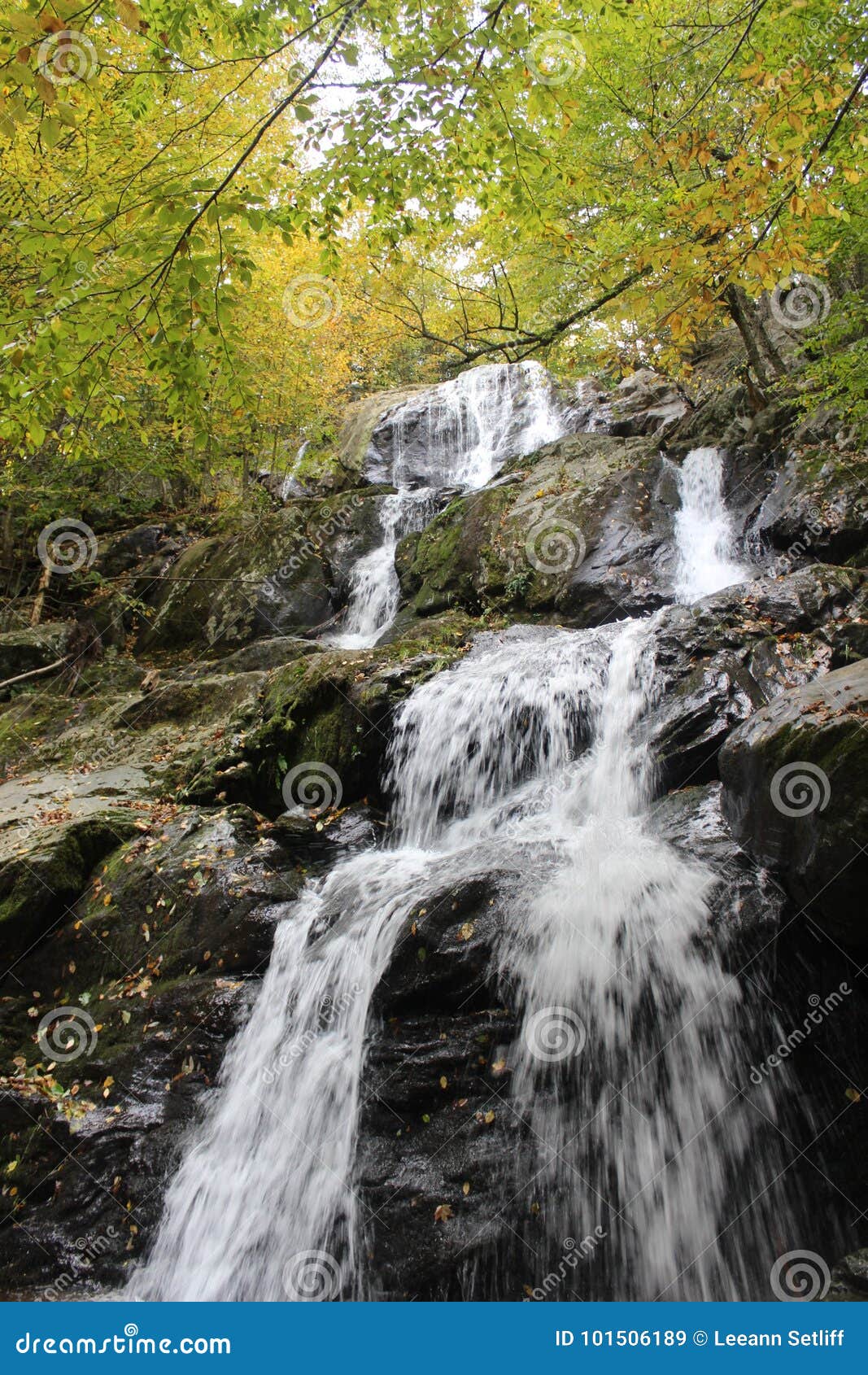 Mountain Waterfall Series stock image. Image of park - 101506189
