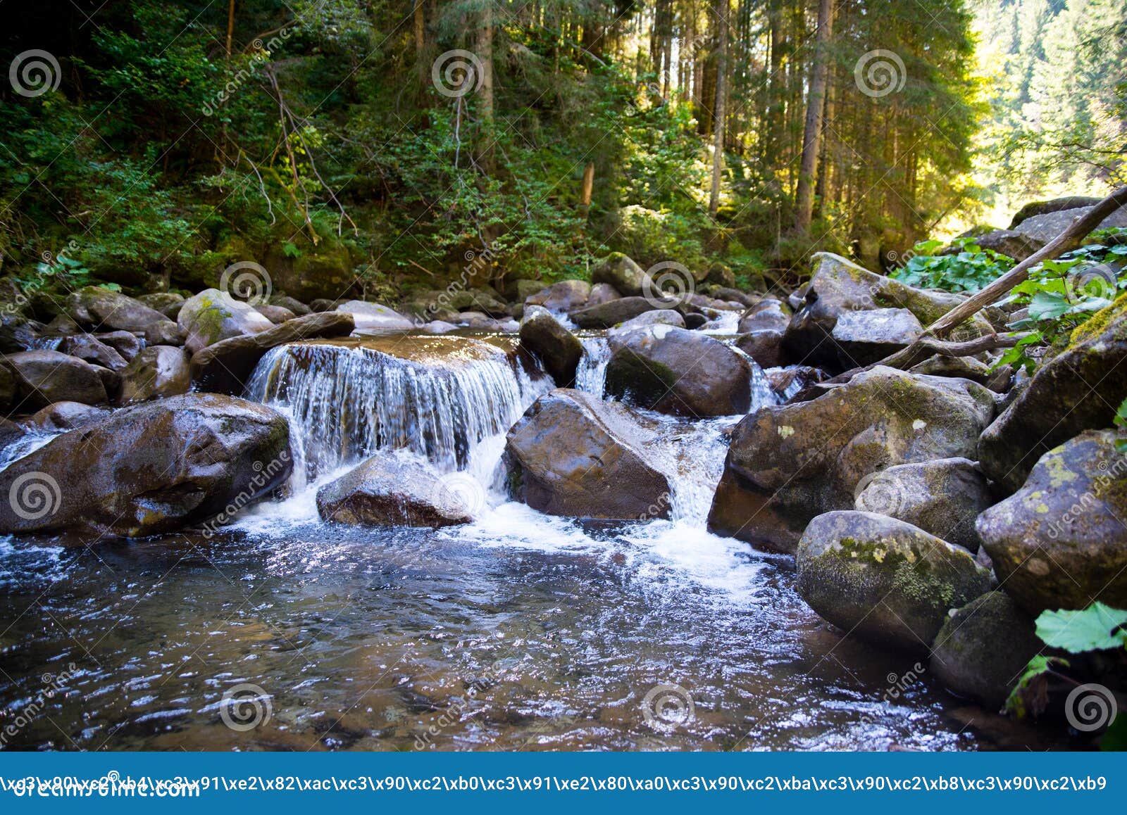 Mountain Waterfall on a Stream in the Mountains with a Forest, Mountain ...