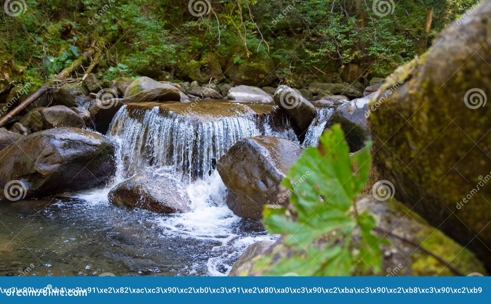 Mountain Waterfall on a Stream in the Mountains with a Forest, Mountain ...
