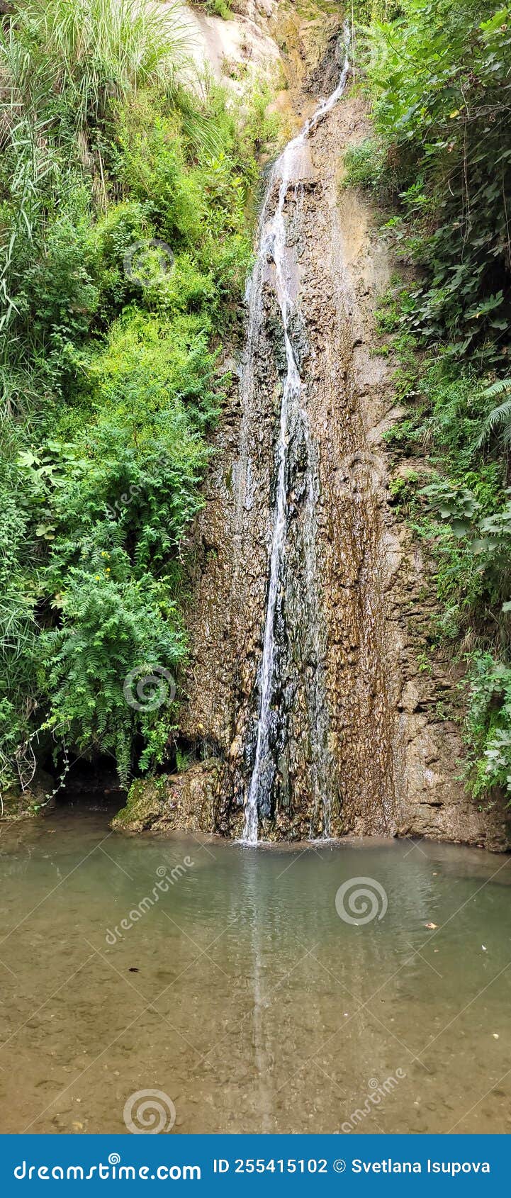 Waterfall Through The Trees Stock Image | CartoonDealer.com #1390993