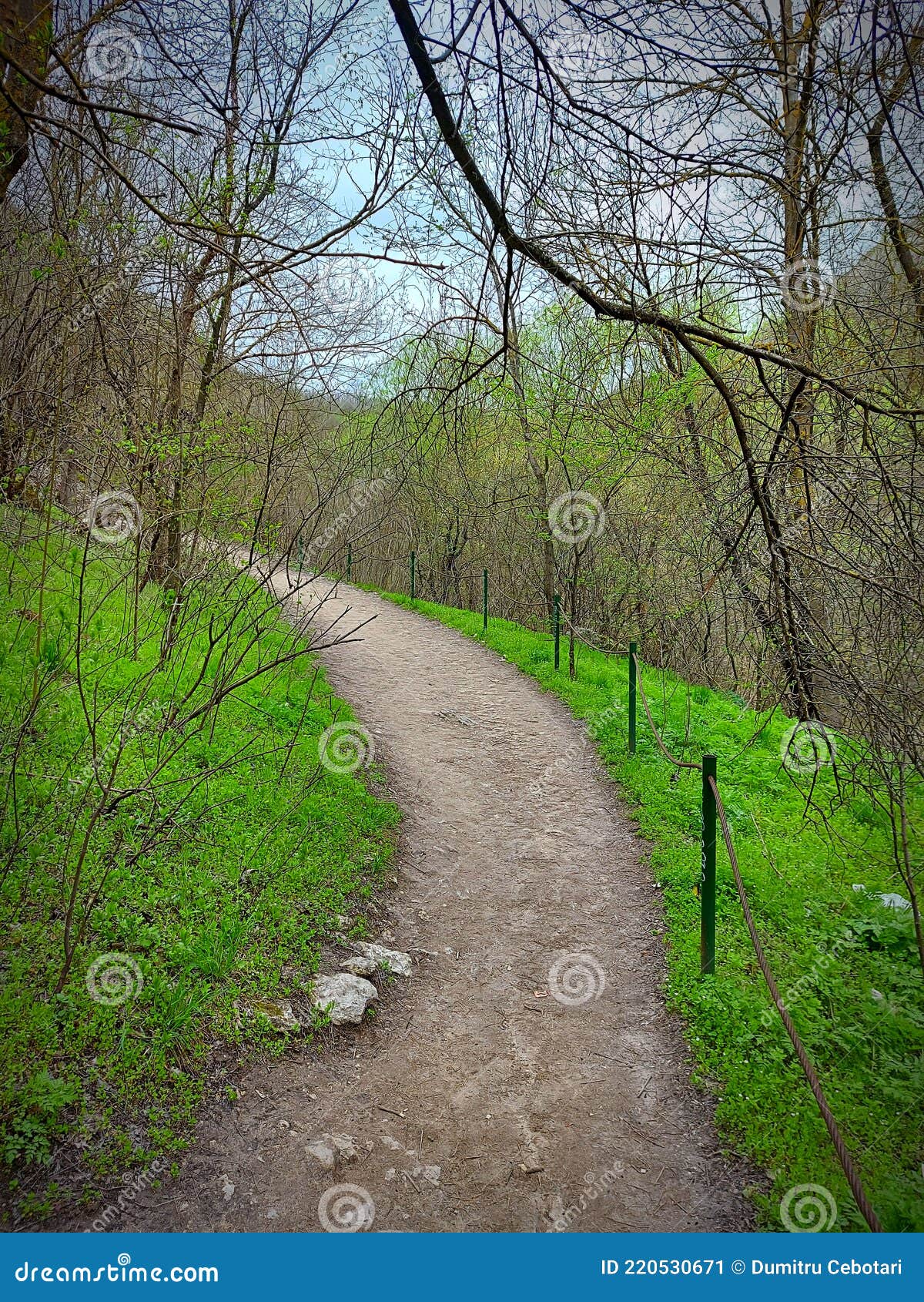 Mountain Winding Path through the Forest. Earth Covered with Green ...
