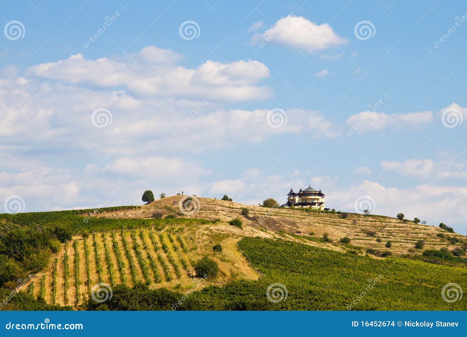 Mountain Winery Landscape stock photo. Image of house - 16452674