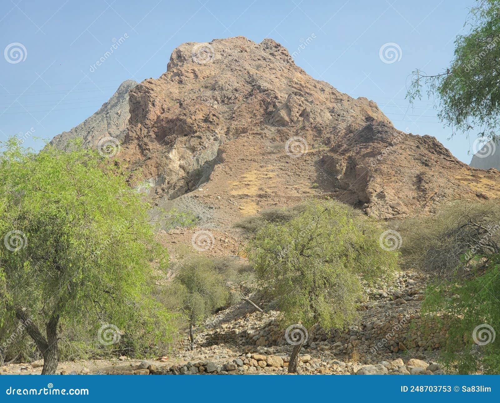 Mountainand Ghaf Trees in Muscat, Oman Stock Image - Image of cliff ...