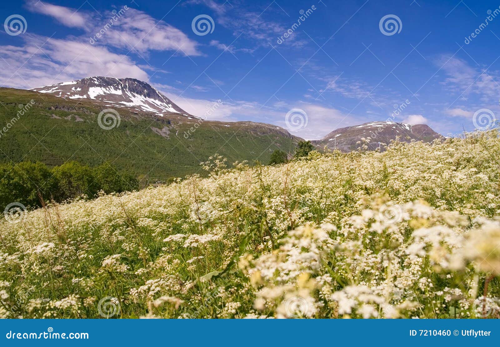 Mountaine View, Tromso, Norway. Stock Photo - Image of highlands ...