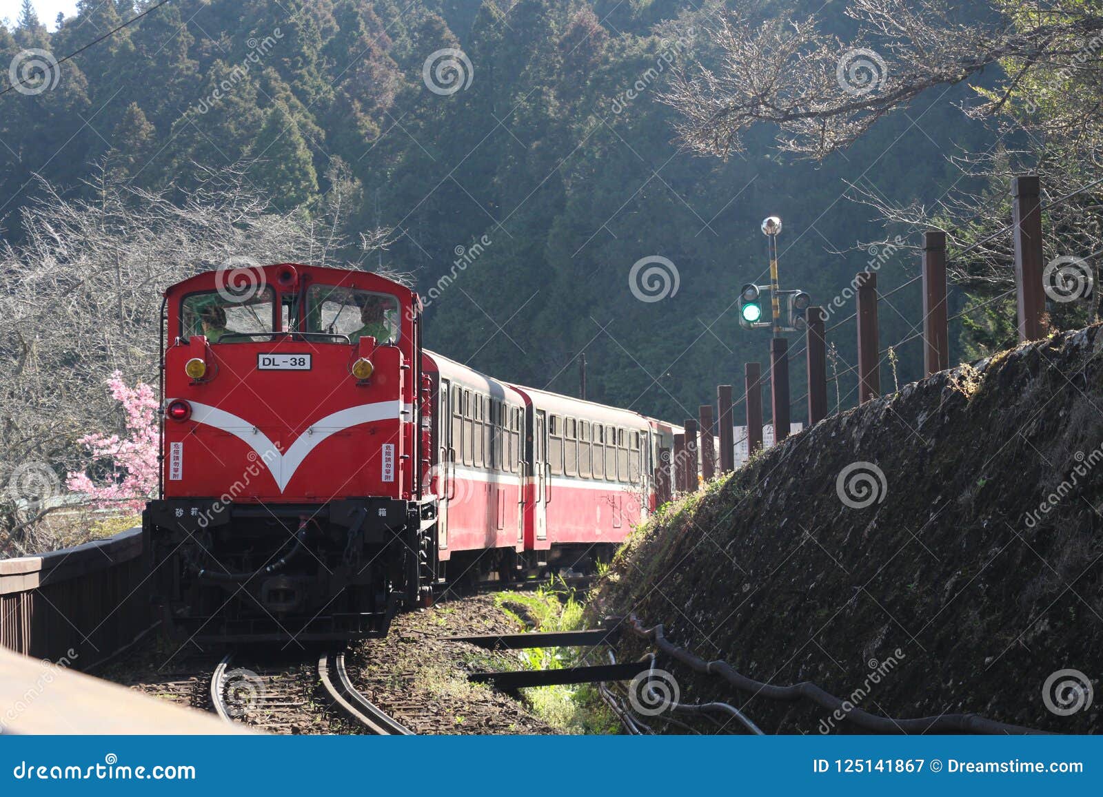 Jungle Train on Ali Mountain Editorial Photography - Image of mountain ...