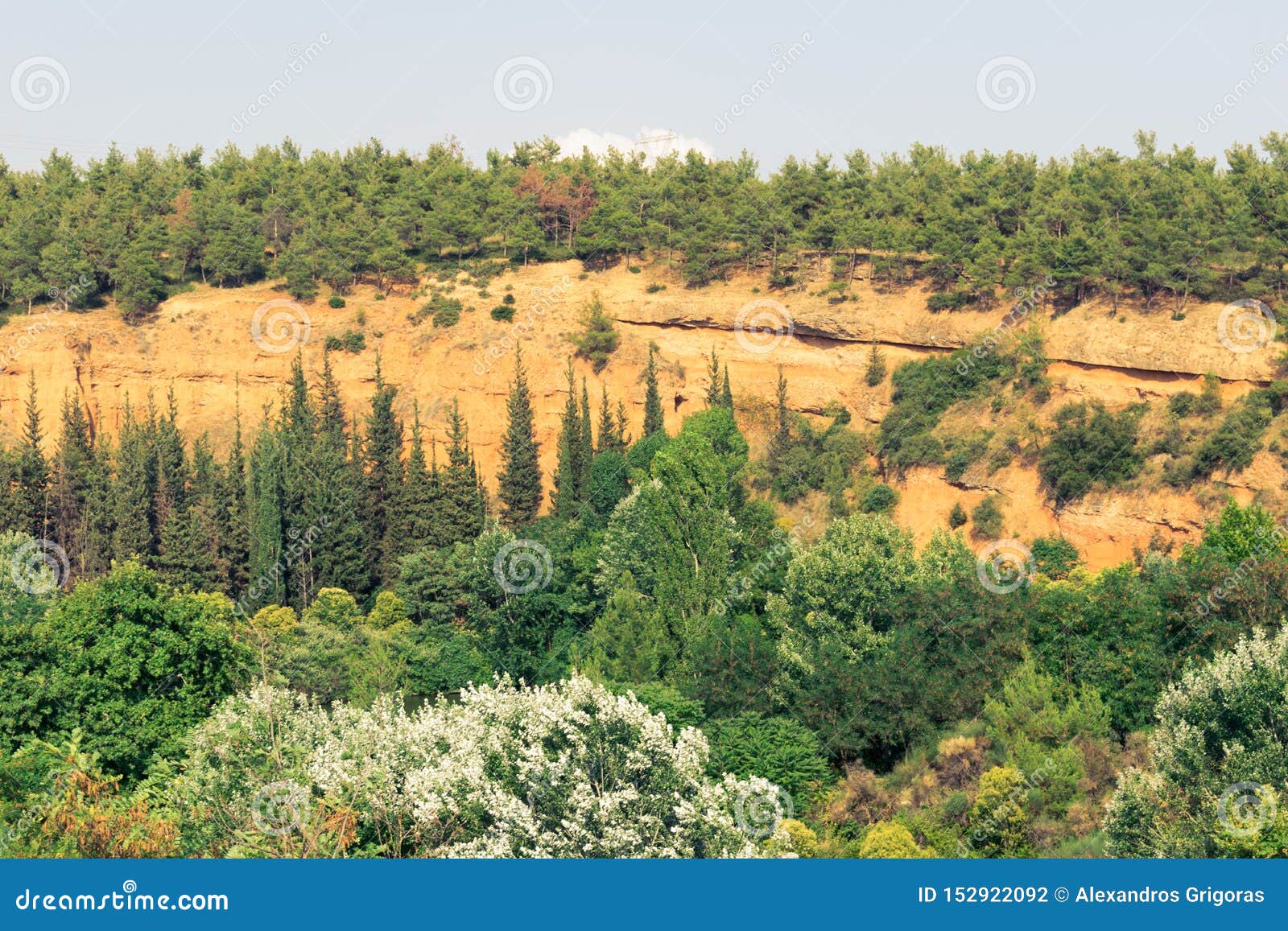 Mountainous Forest Scenery in Greece Stock Photo - Image of mountain ...