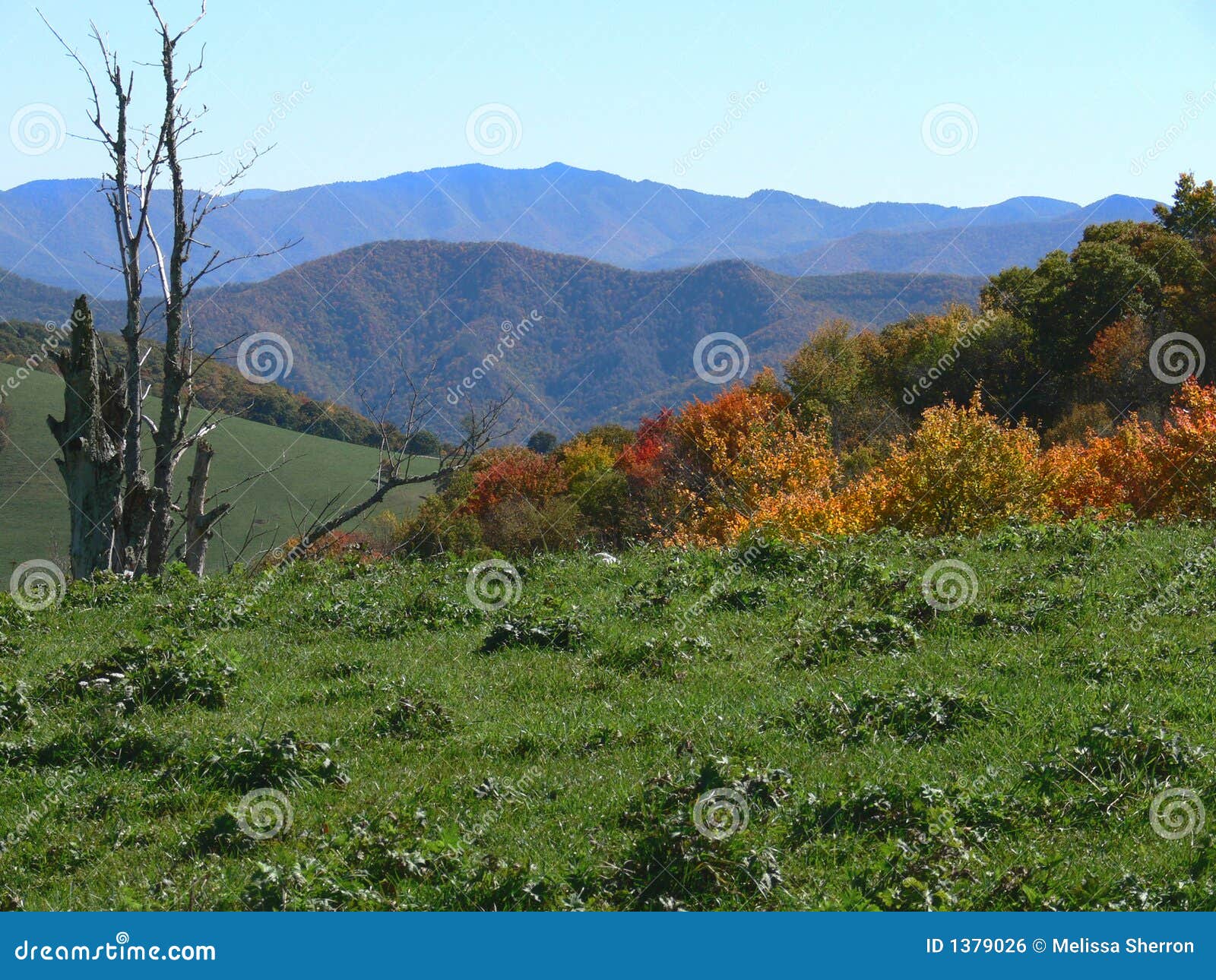 Mountainous landscape stock photo. Image of outside, background - 1379026