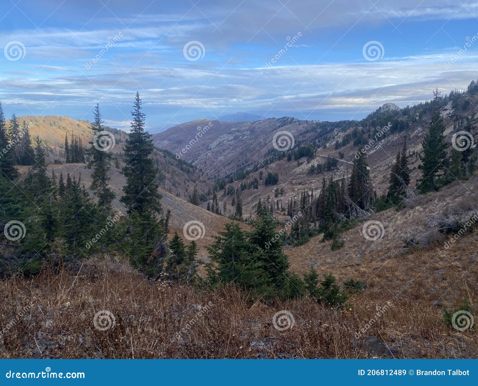 Utah Fall Mountains stock image. Image of forest, utah - 206812489
