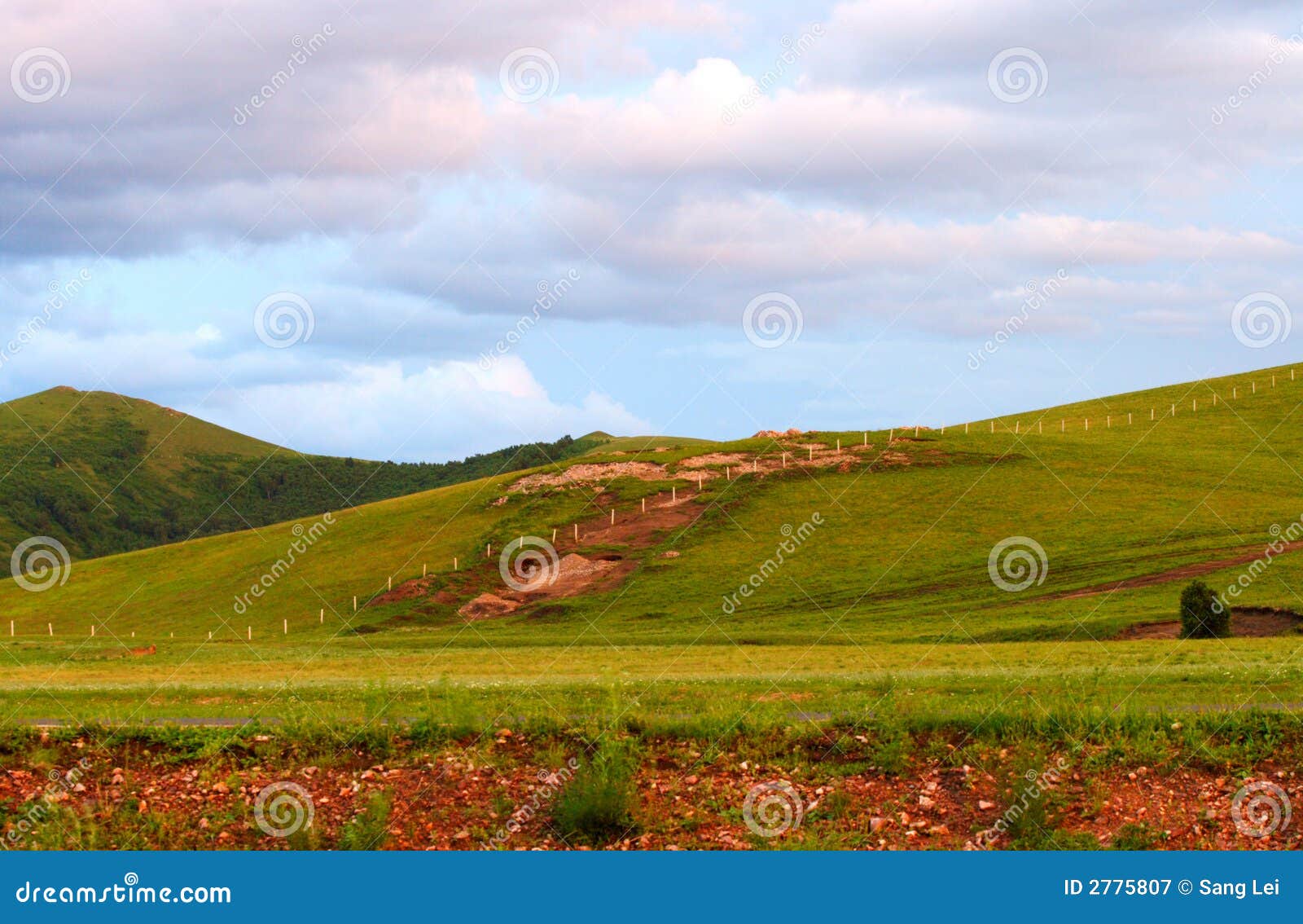 Mountains stock image. Image of plant, mountains, tree - 2775807
