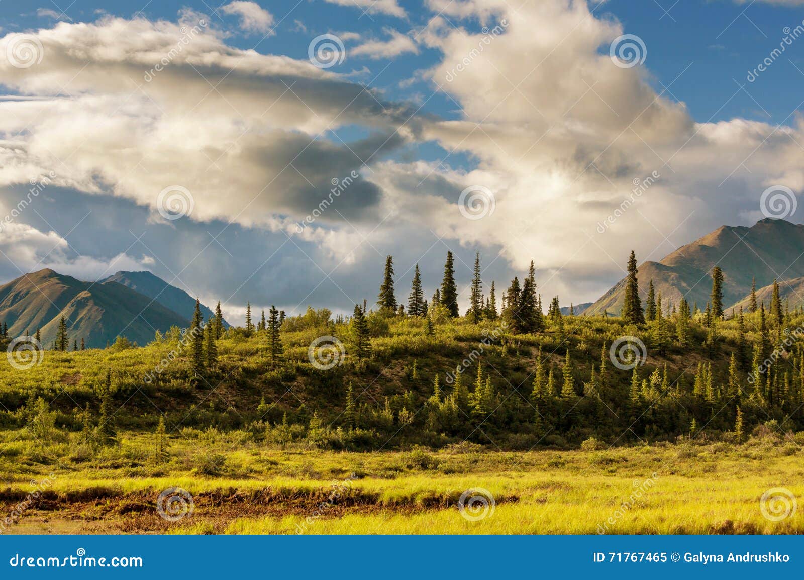Mountains in Alaska stock image. Image of colorful, covered - 71767465