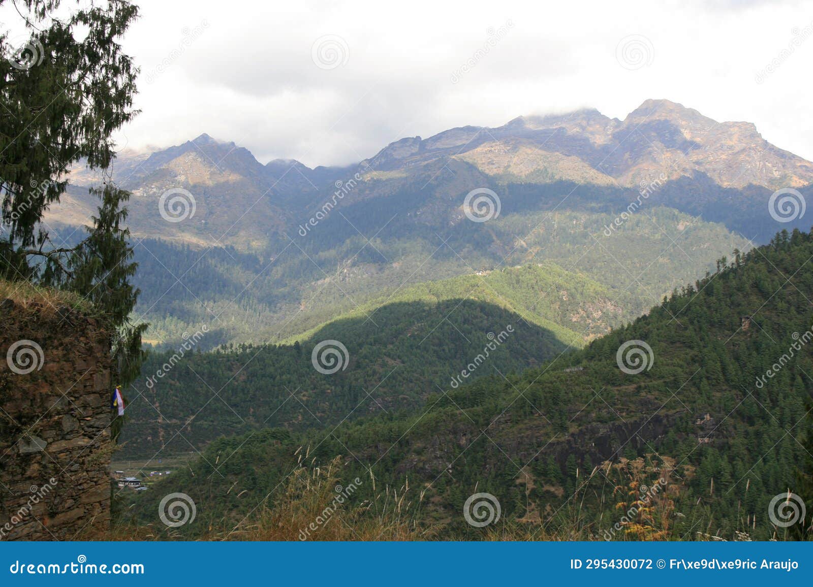 Mountains Around Paro (bhutan) Stock Photo - Image of mountain, forest ...