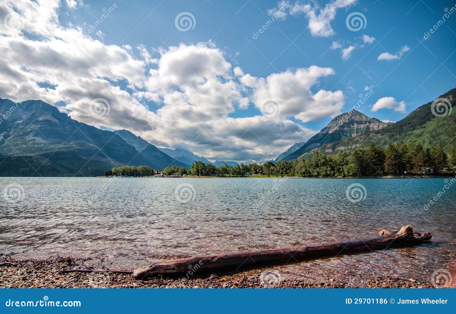 Log on Waterton Lake with Mountains Stock Photo - Image of cloud ...