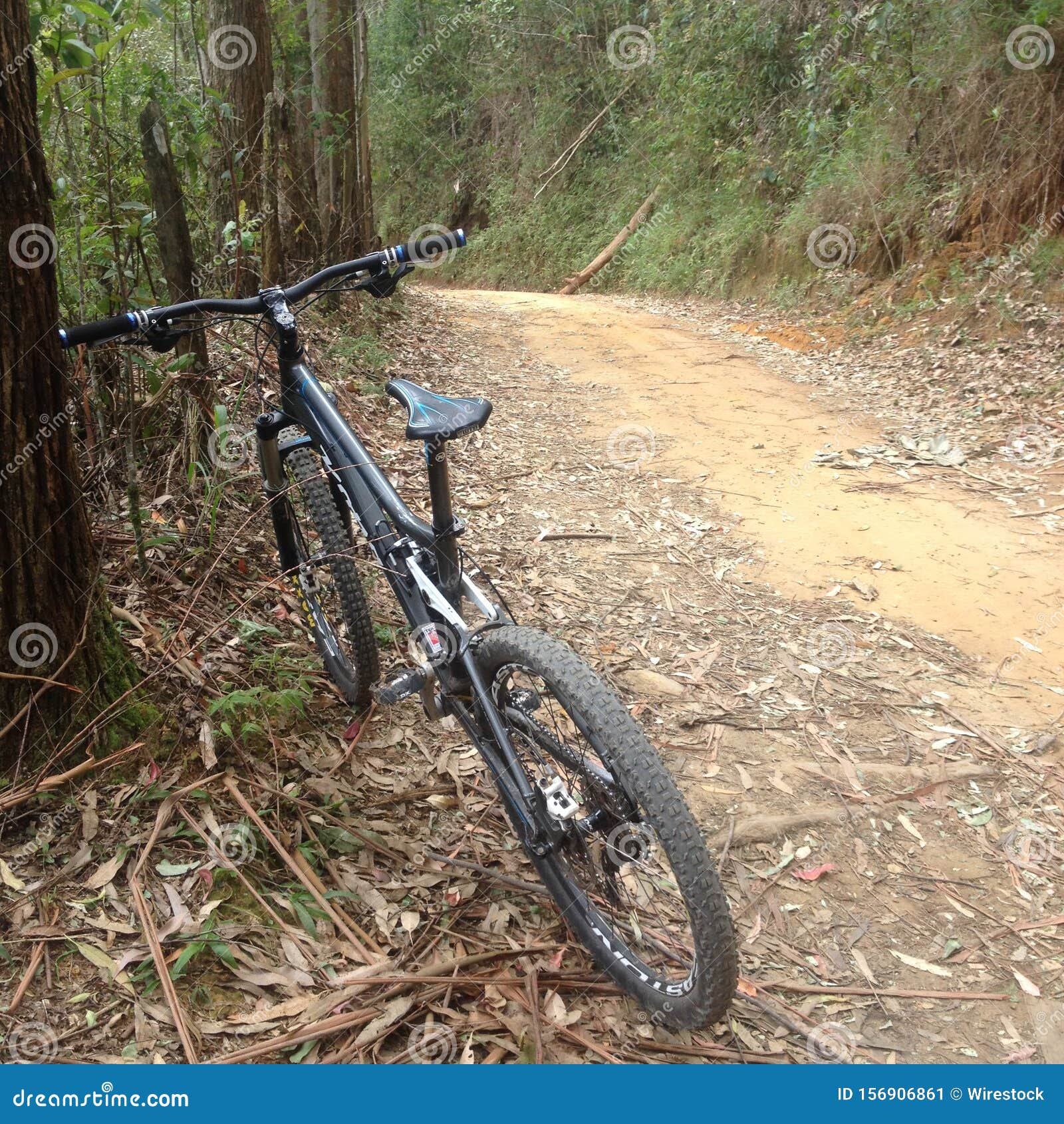 Mountains Bike Parked on a Forest Pathway Stock Image - Image of ...