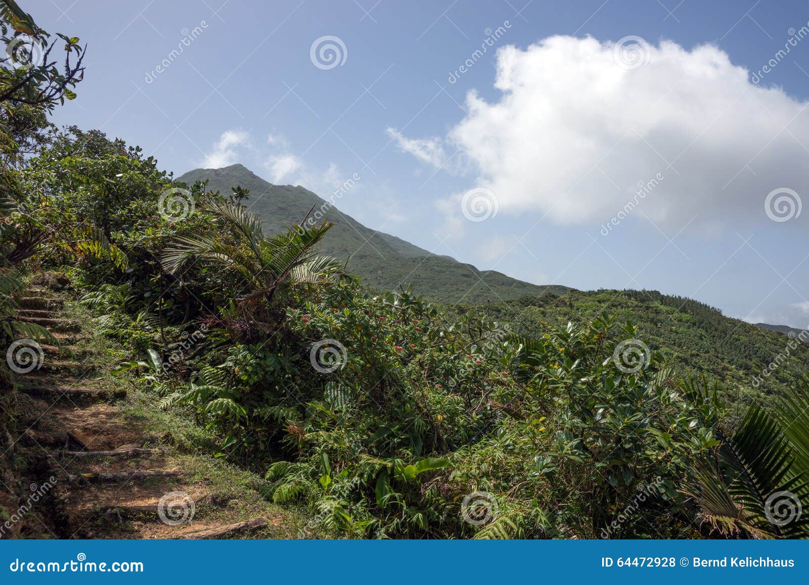 Mountains on Caribbean Island of Dominica Stock Photo - Image of ...