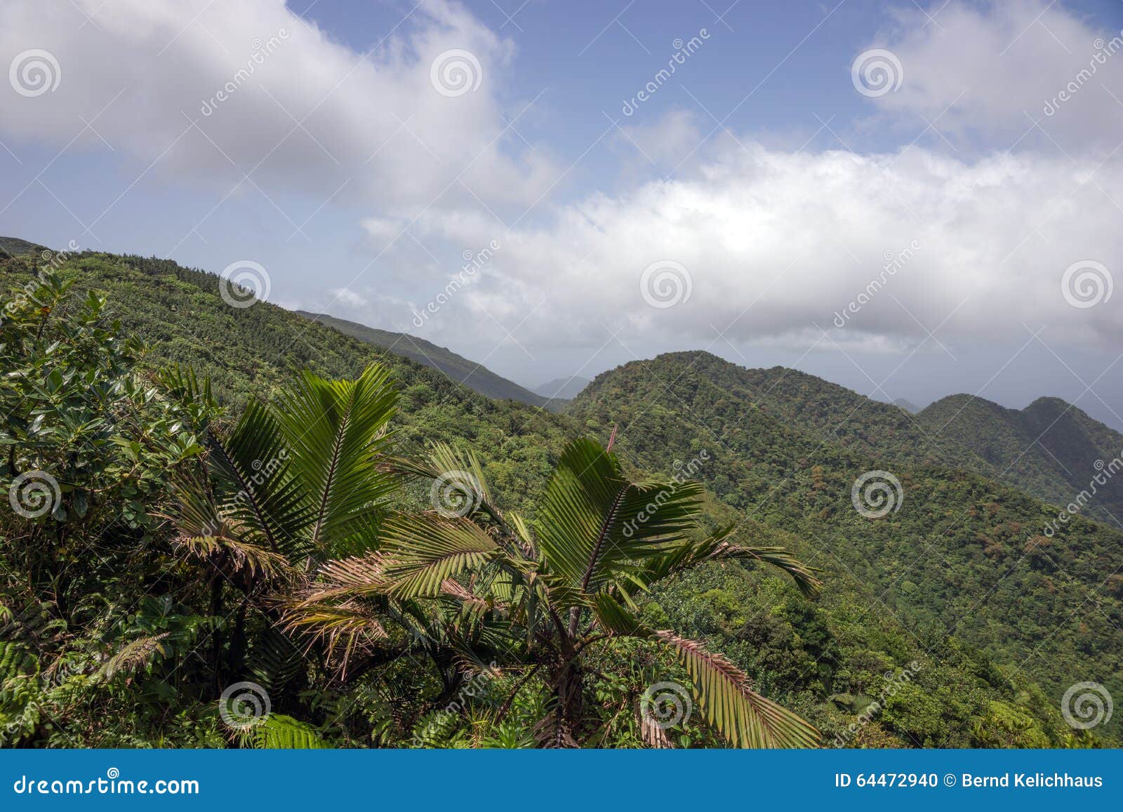 Mountains on Caribbean Island of Dominica Stock Photo - Image of island ...