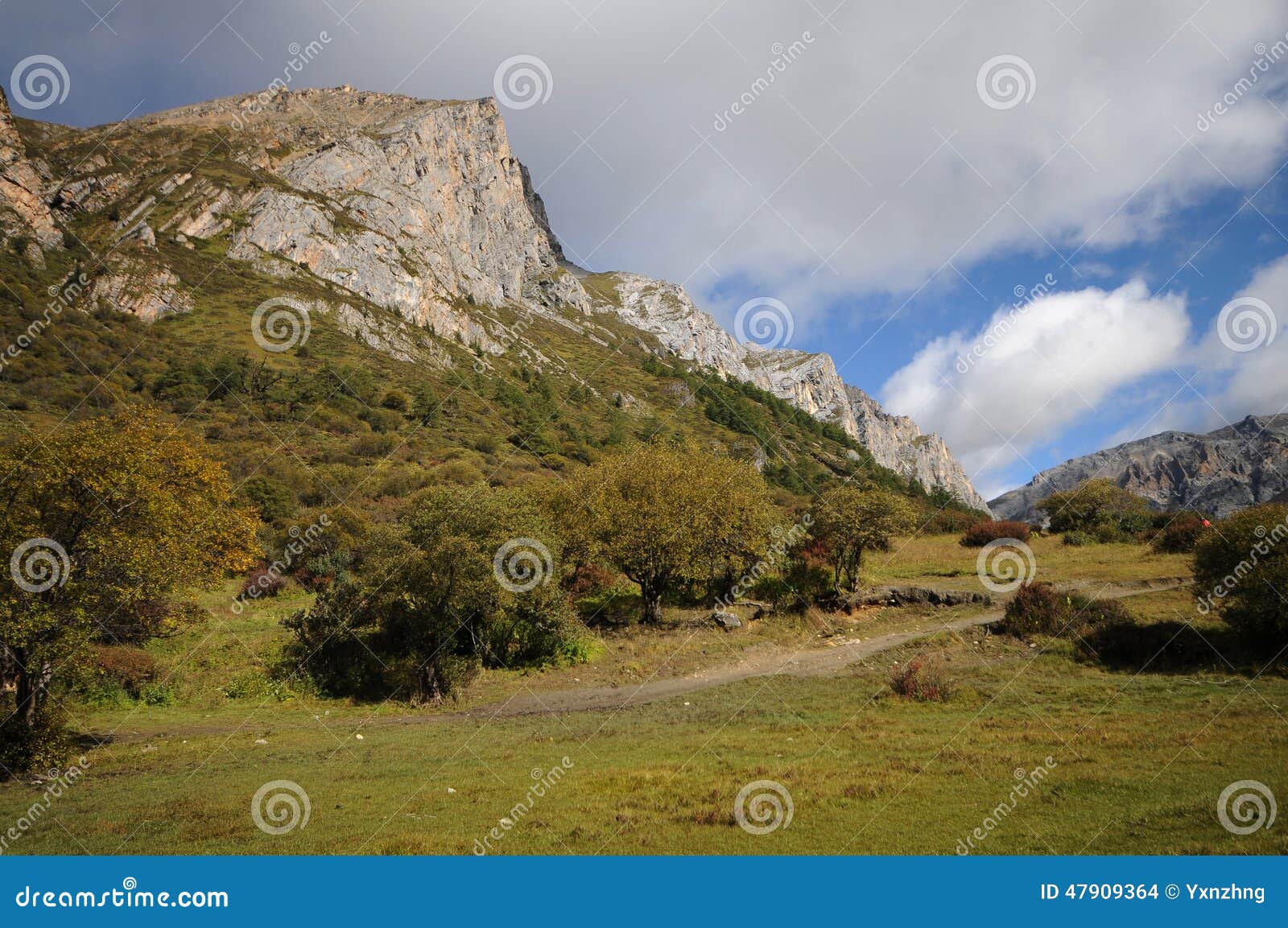 Mountains in China tibet stock photo. Image of tree, outdoor - 47909364
