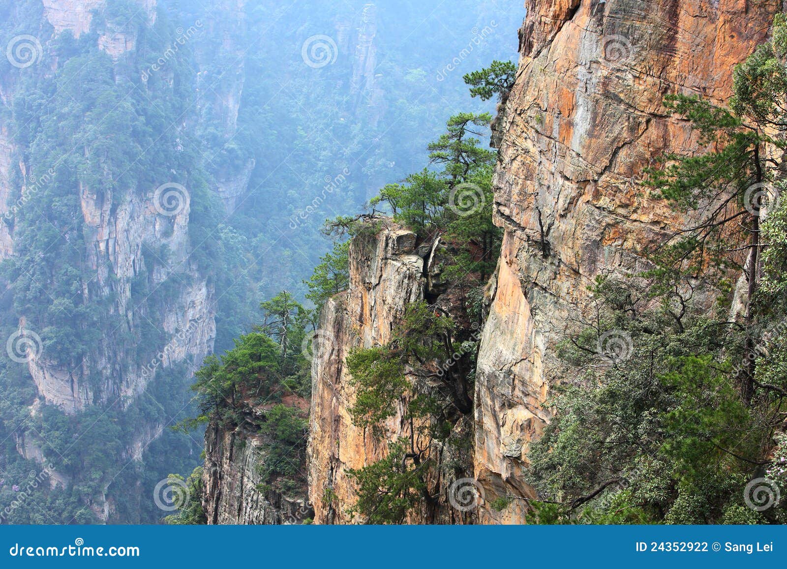 Mountains cliff stock photo. Image of details, trees - 24352922
