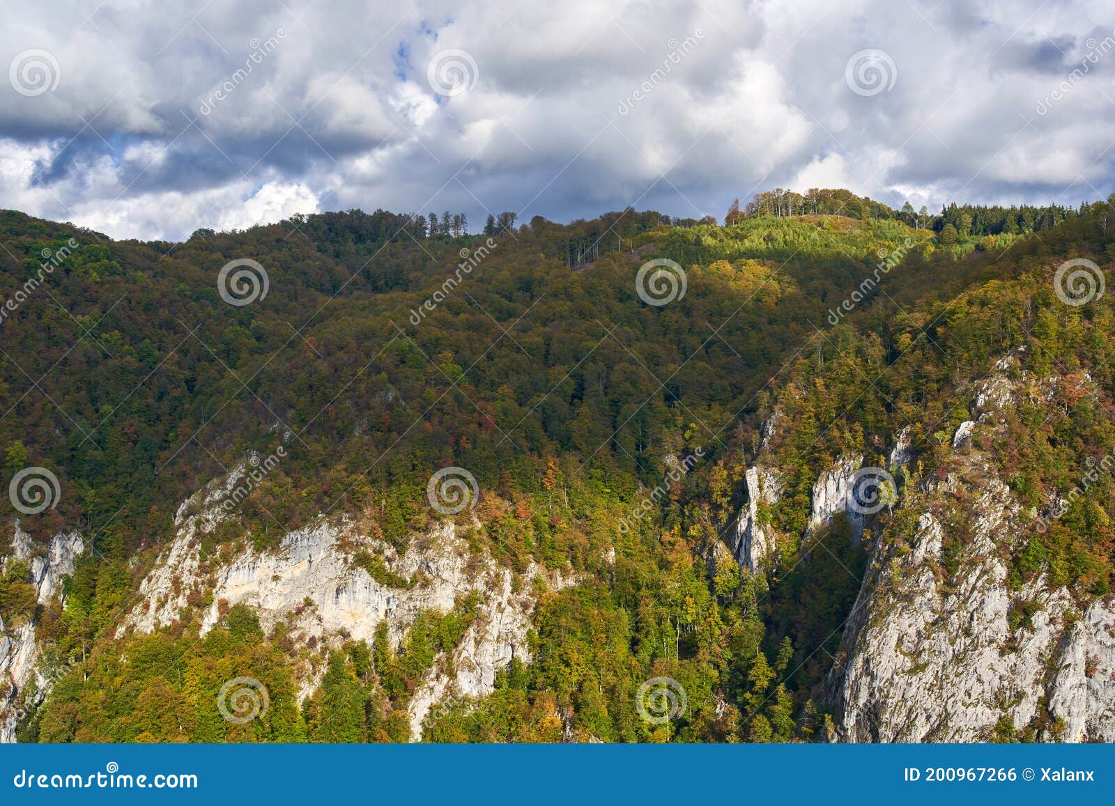 Mountains with Cliffs and Forests Stock Photo - Image of forest ...
