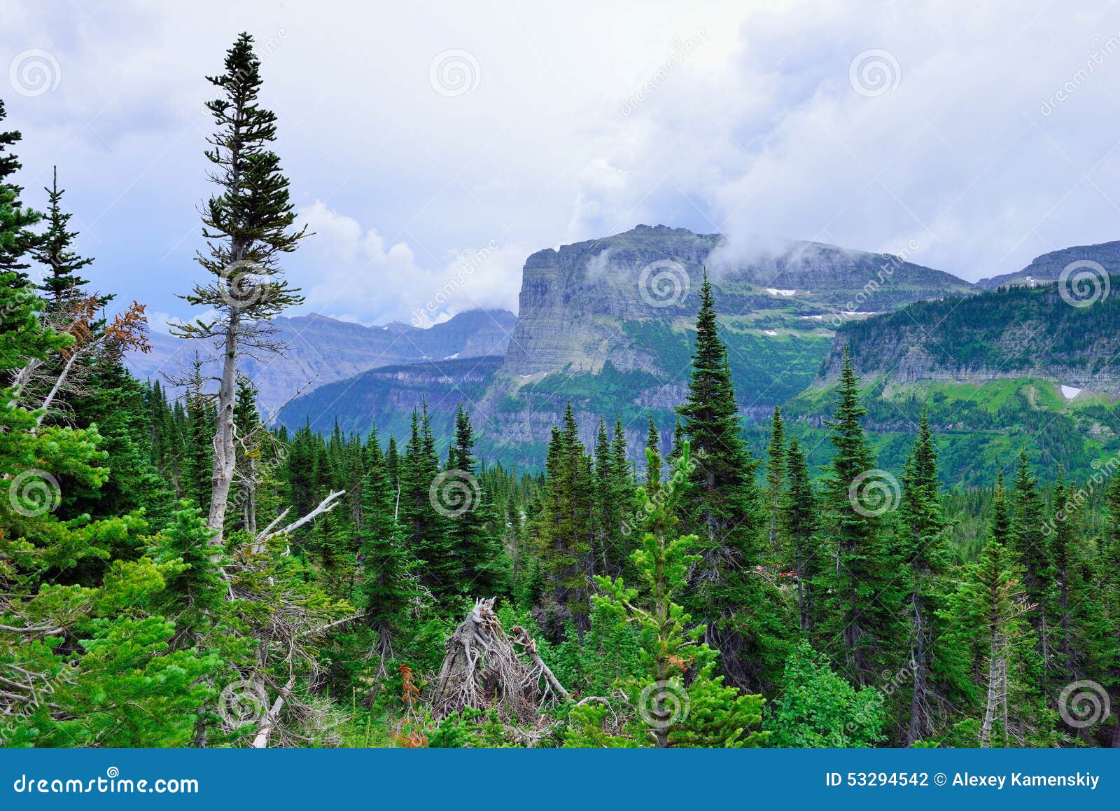Mountains in Clouds and High Alpine Conifer Forest in Glacier National ...
