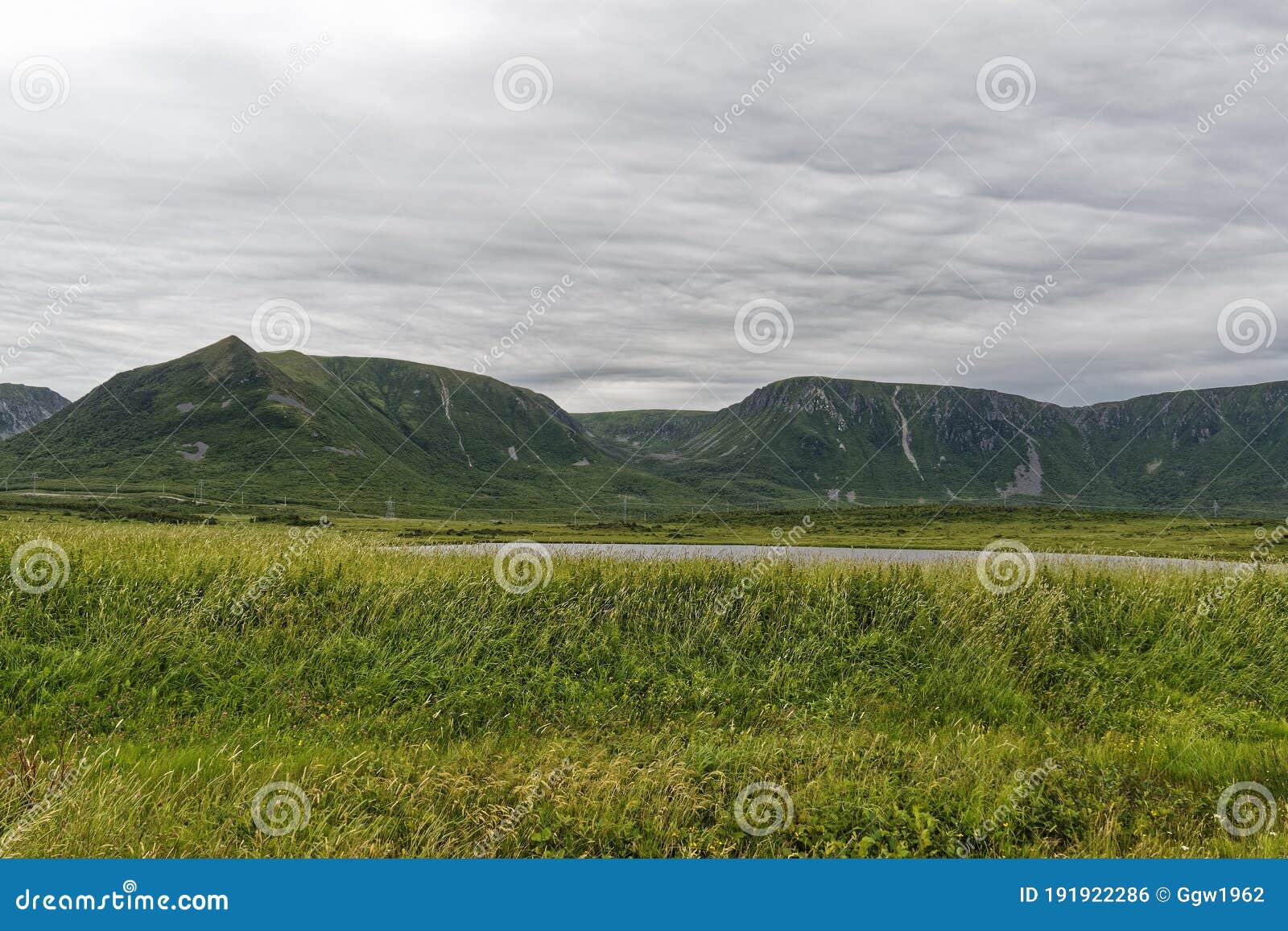 Mountains in the Codroy Valley Stock Photo - Image of exploring, house ...