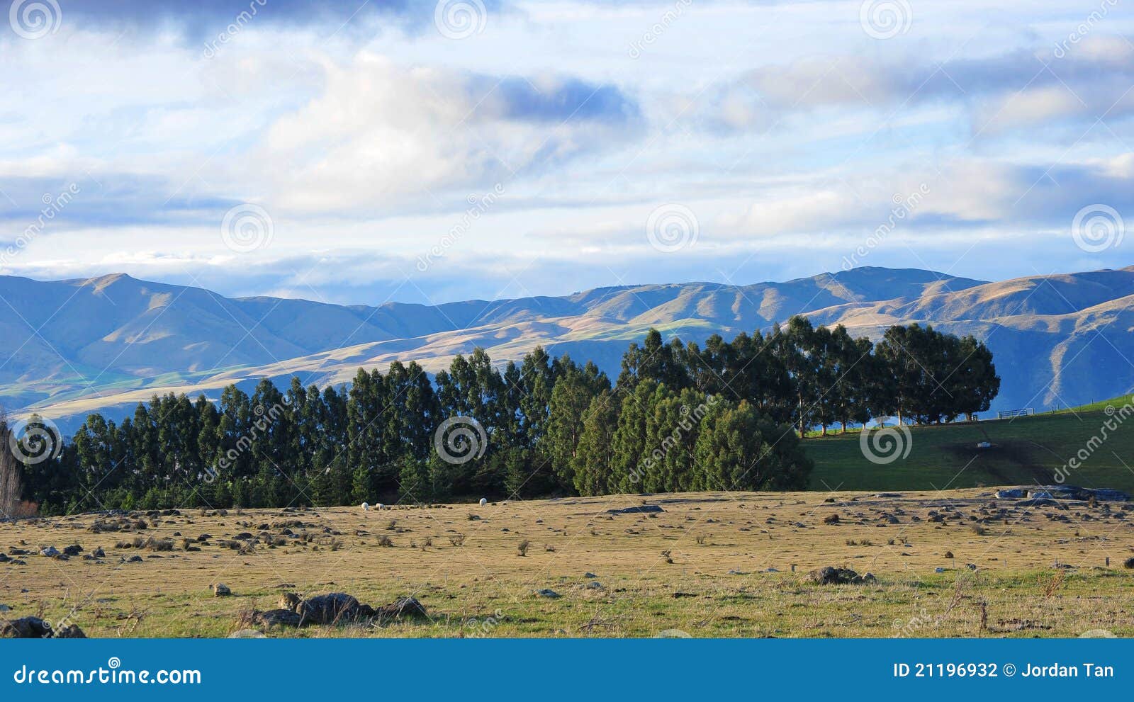 Mountains and Fields at Waitaki Valley Stock Photo - Image of scenery ...