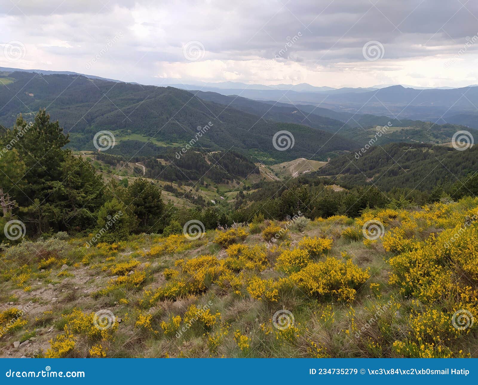 Mountains and Forest on Front Landscape Photo Stock Image - Image of ...