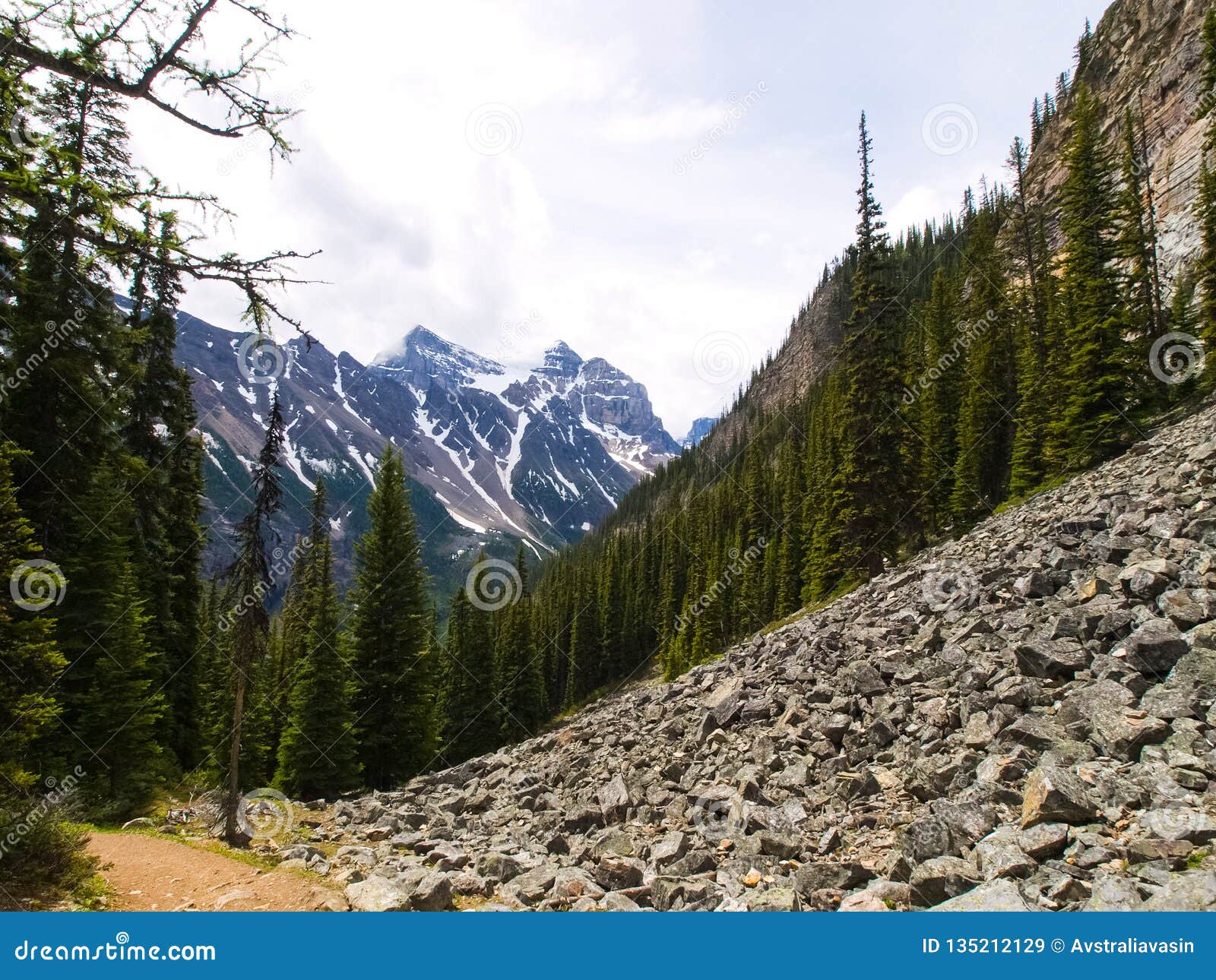 Mountains and Forests in Canada Stock Image - Image of forest, mountain ...
