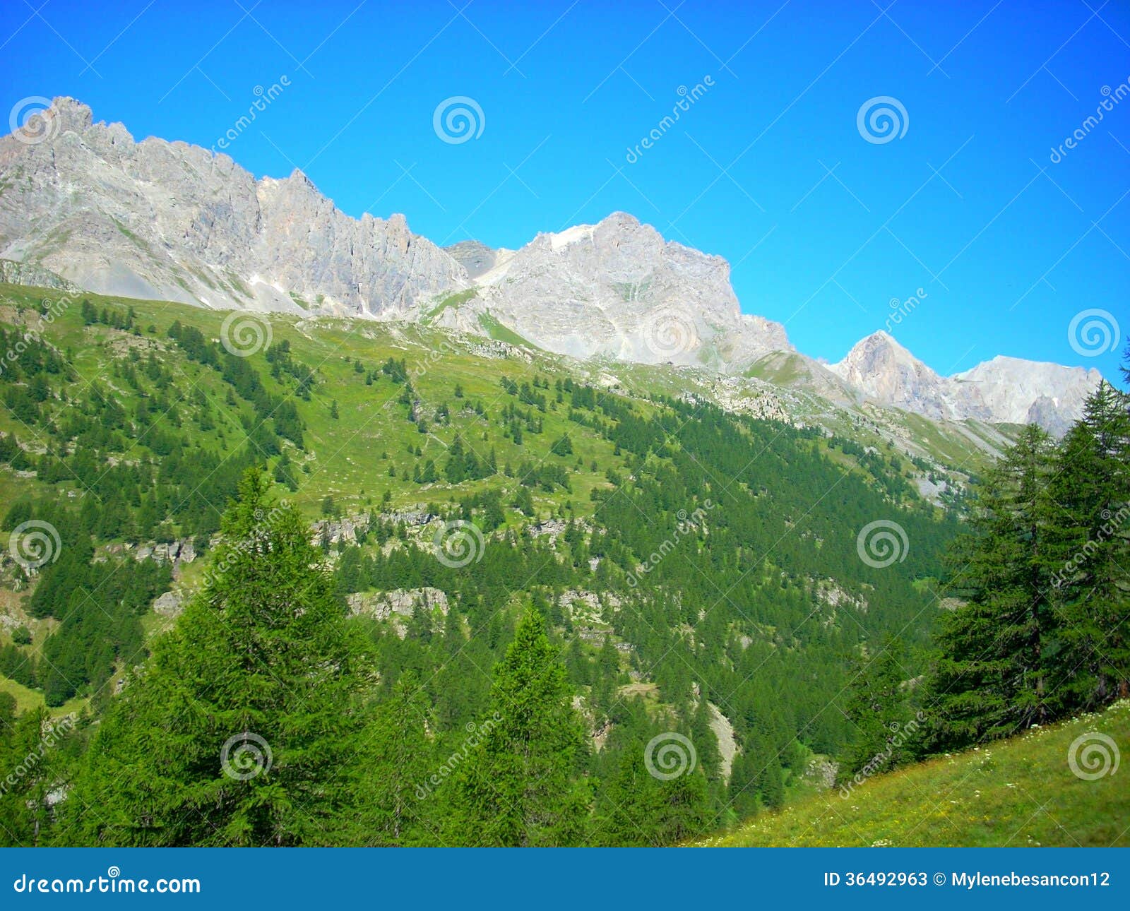 Mountains French Alps Summertime Stock Image - Image of travel, massif ...