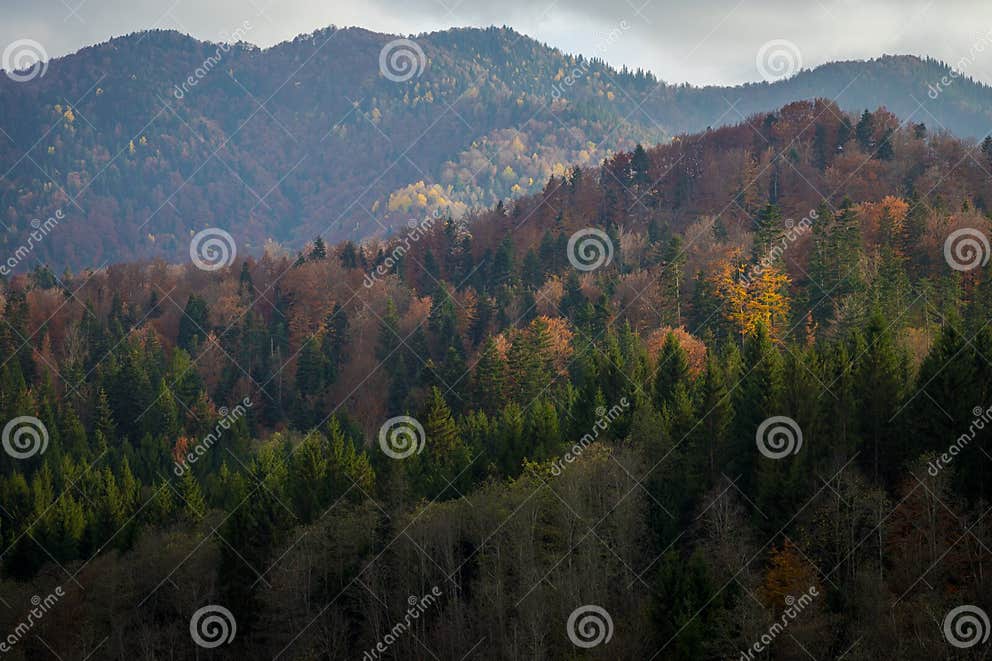 Mountains Full of Tomnatic Trees Stock Photo - Image of nature ...