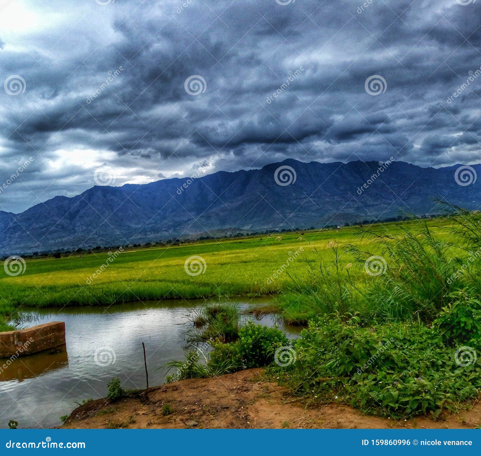 Mountains Green Fields Rivers Stock Photo - Image of green, mountains ...
