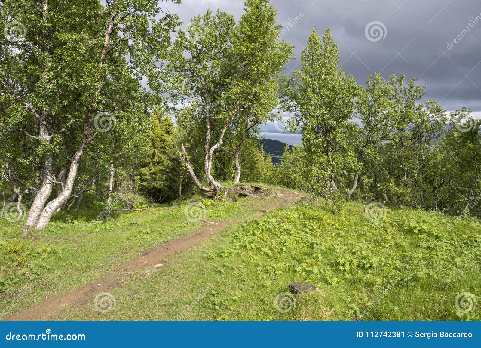 Mountains of Harstad stock image. Image of hill, lawn - 112742381