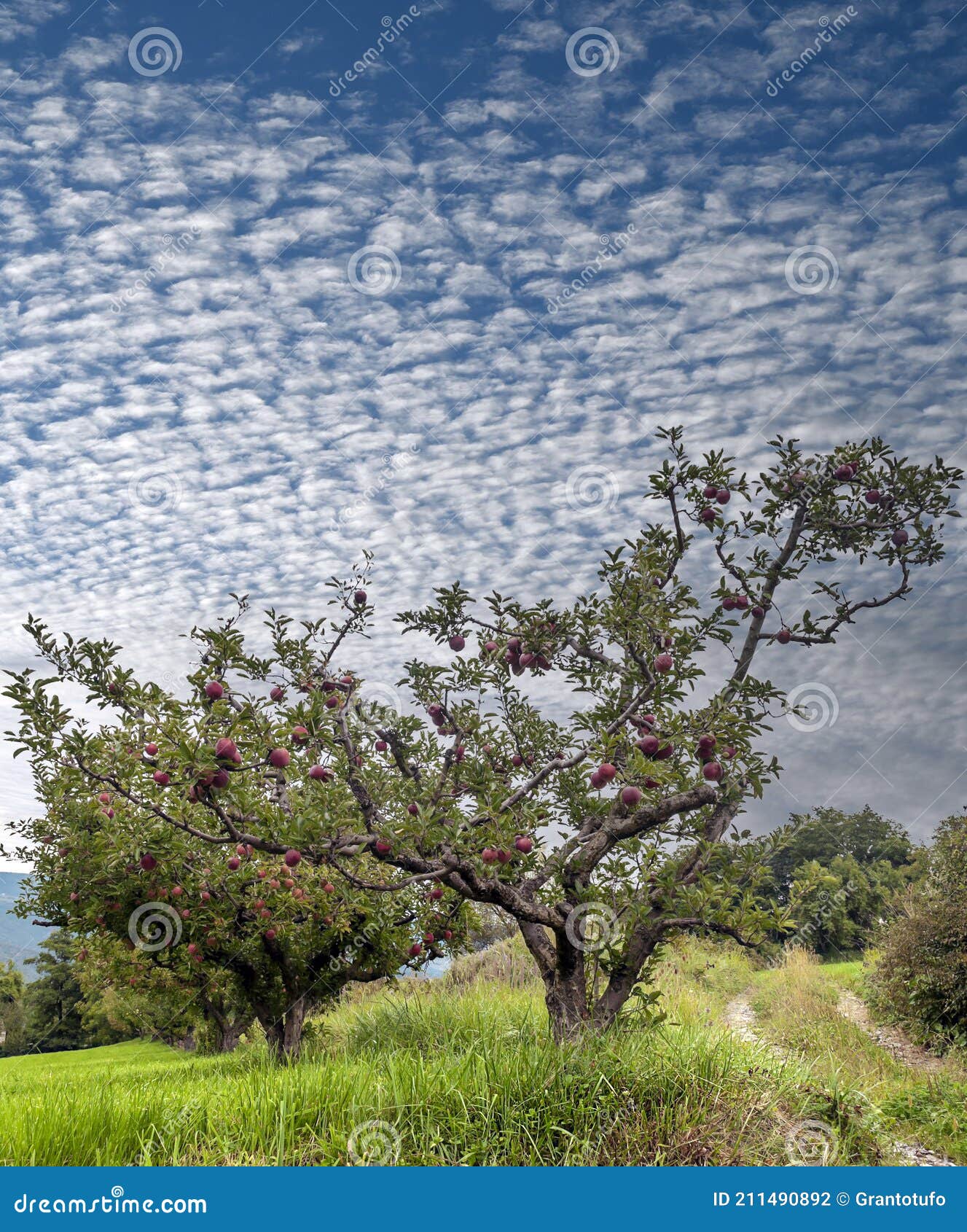 Mountains landscape stock photo. Image of pyrenees, hiking - 211490892