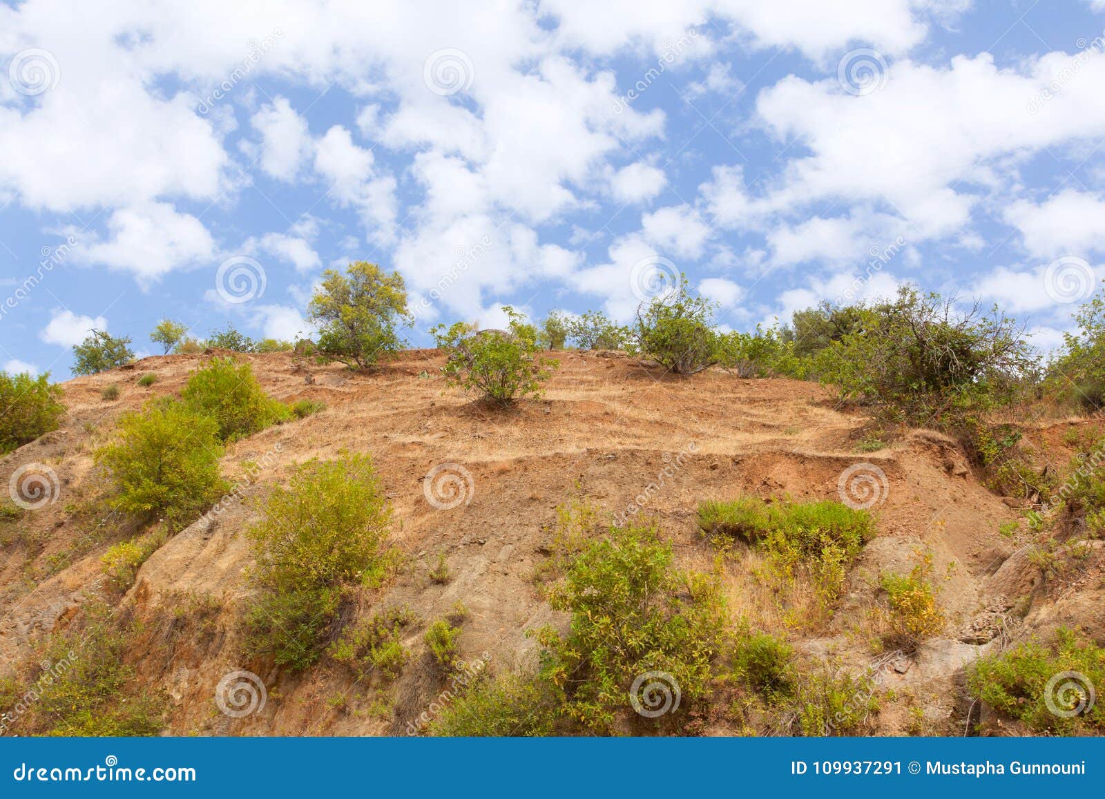 Mountains Landscape.sky. Morocco. Figs Tree Stock Image - Image of ...
