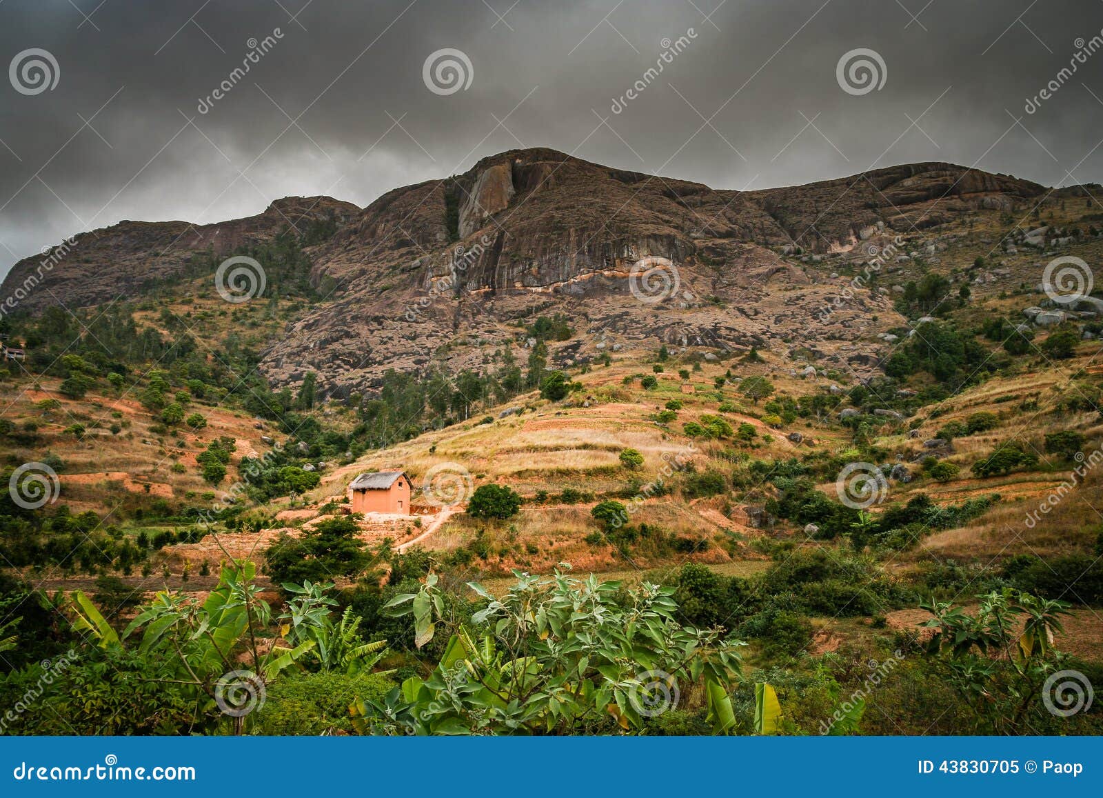 Mountains of Madagascar stock image. Image of leaves - 43830705