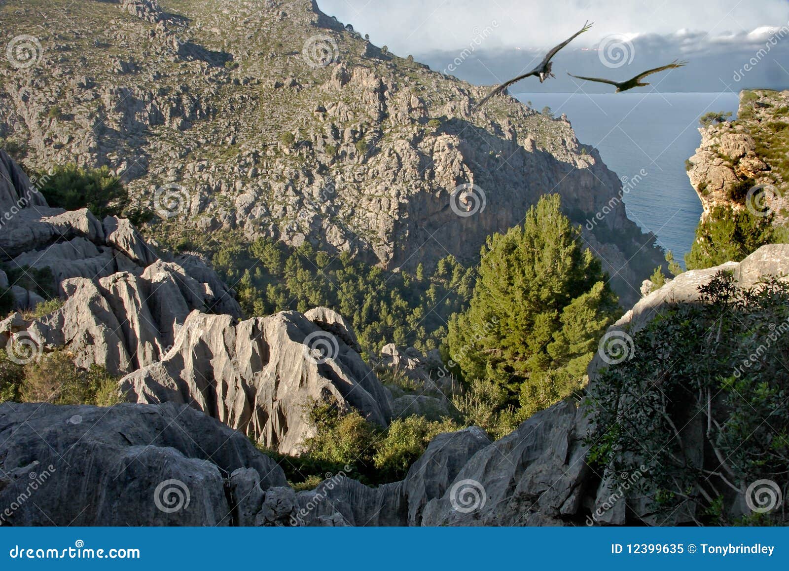 Mountains of Majorca stock image. Image of nature, majorca - 12399635