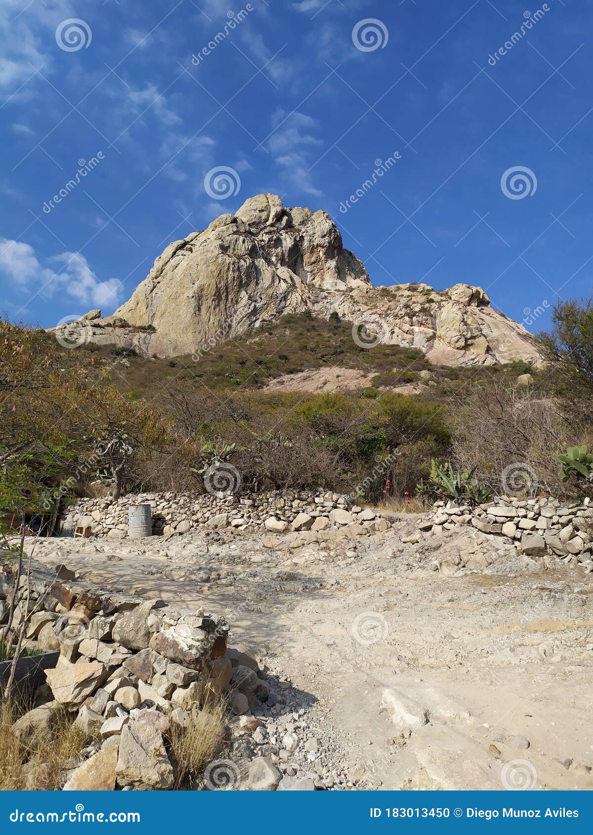 Mountains in Mexico stock photo. Image of green, branch - 183013450