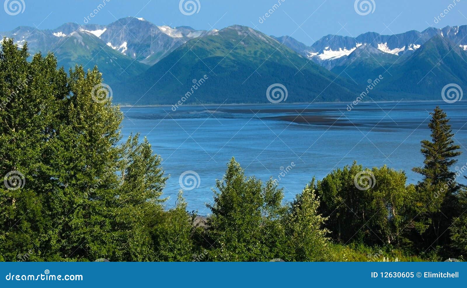 Mountains Over Turnagain Arm in Summer Stock Image - Image of forest ...