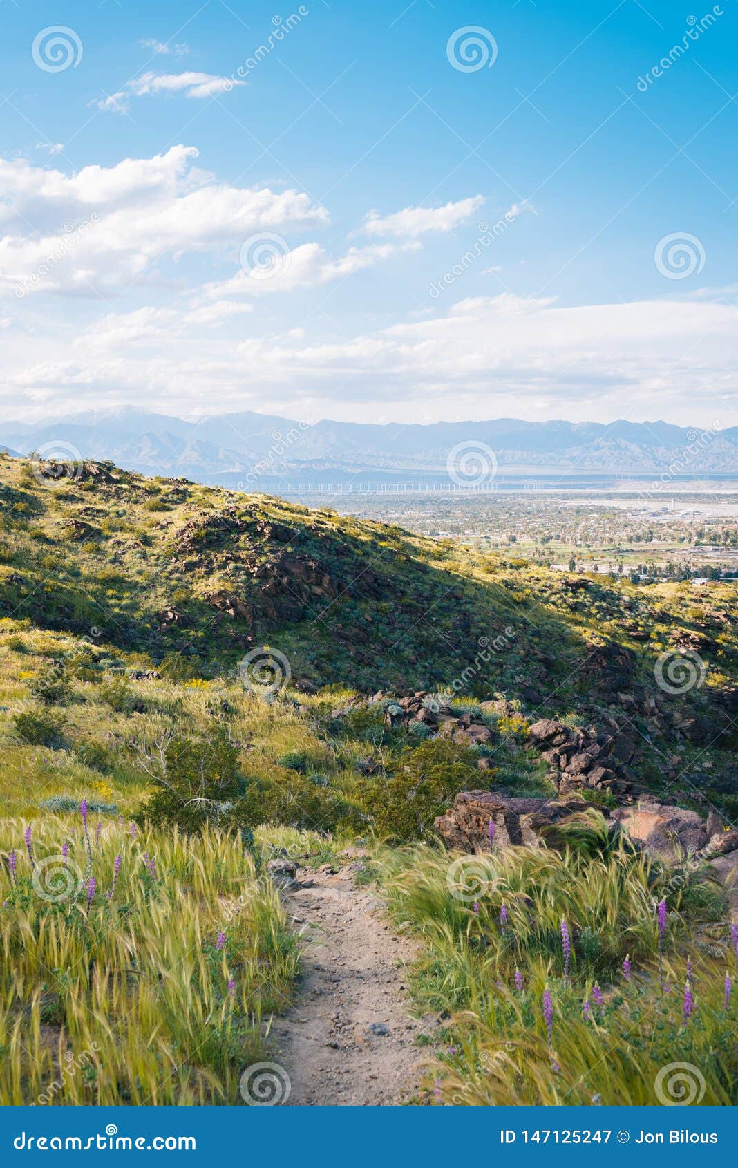 Mountains in Palm Springs, California Stock Image - Image of scenic ...