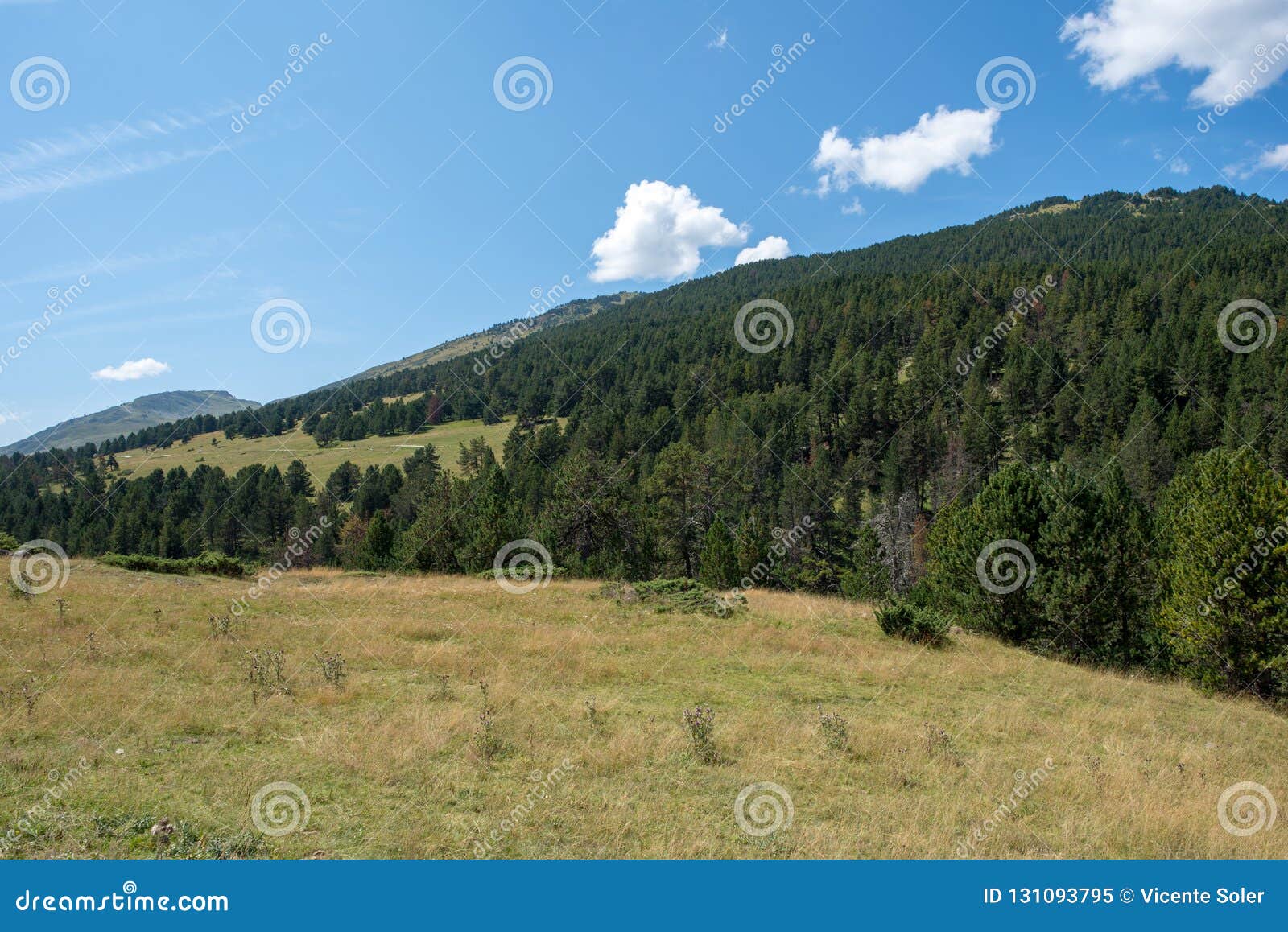 Mountains in the Pyrenees through the Valley of Aran Stock Image ...