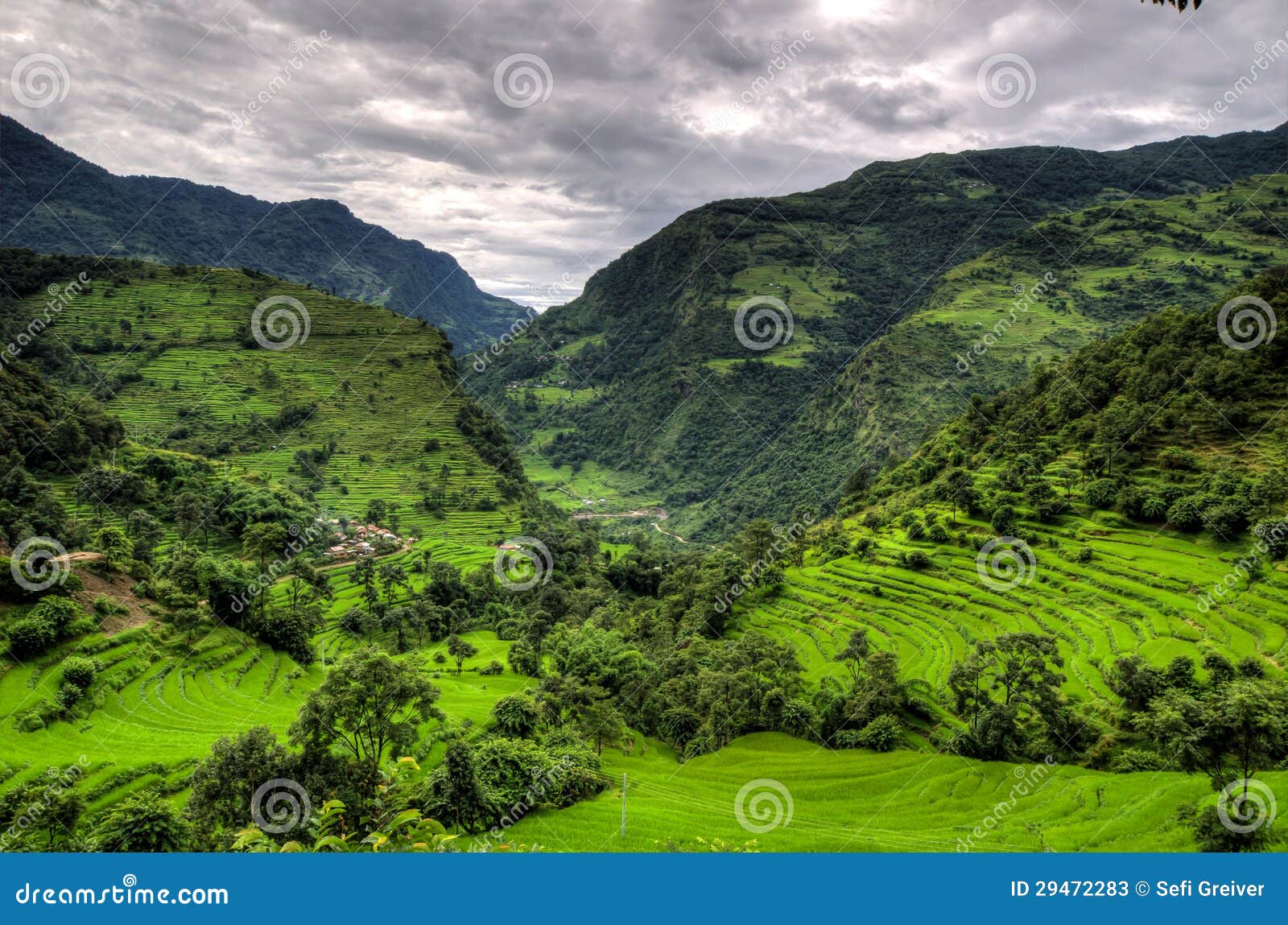Mountains and Rice Plantations in the Annapurna Stock Image - Image of ...