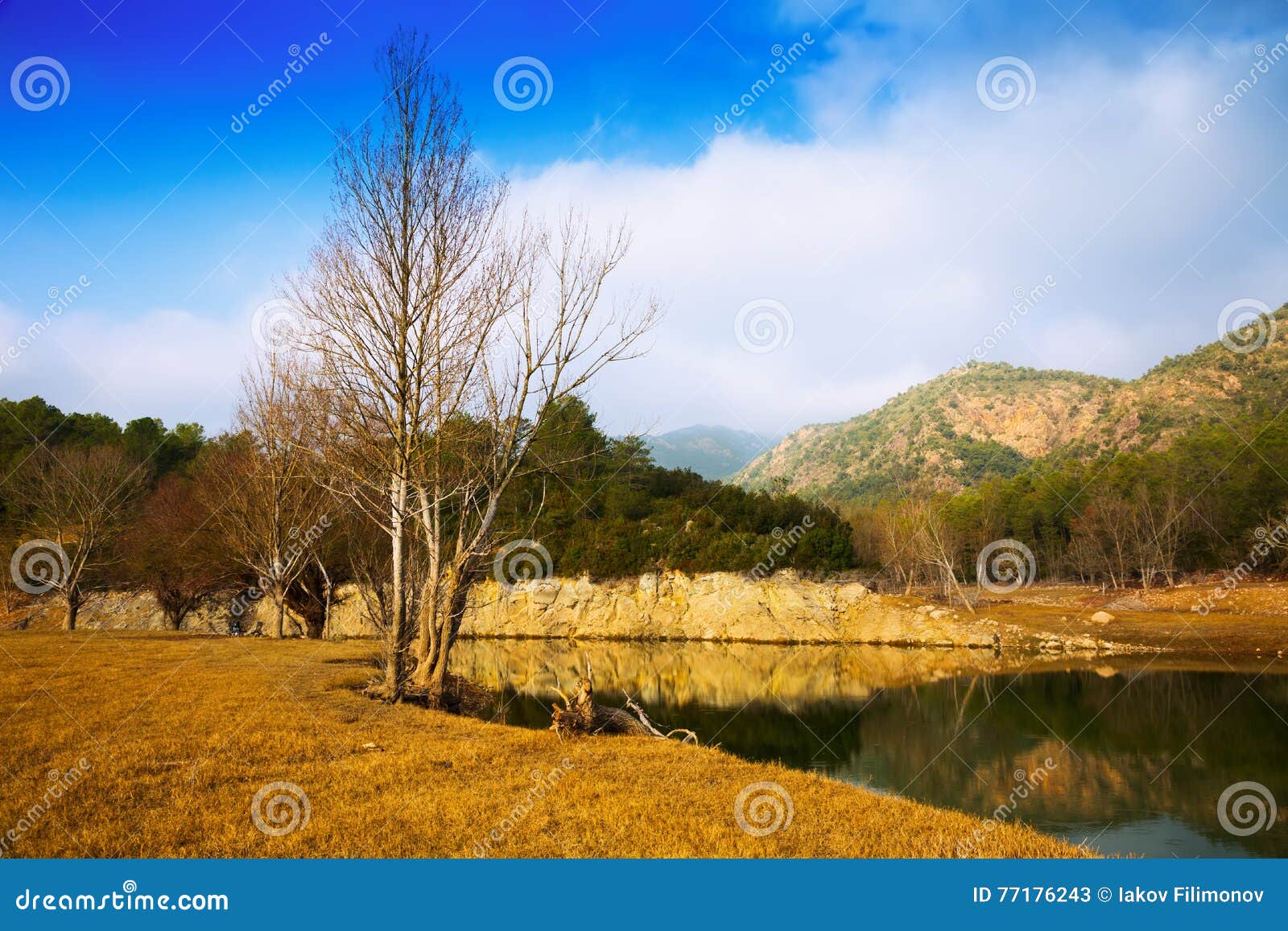 Mountains River in Autumn. Muga Stock Image - Image of autumn, rocks ...