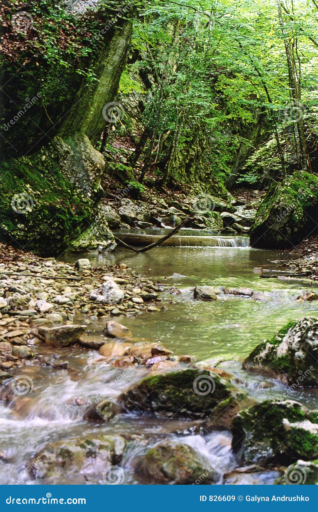 Mountains river in Crimea stock image. Image of river, color - 826609