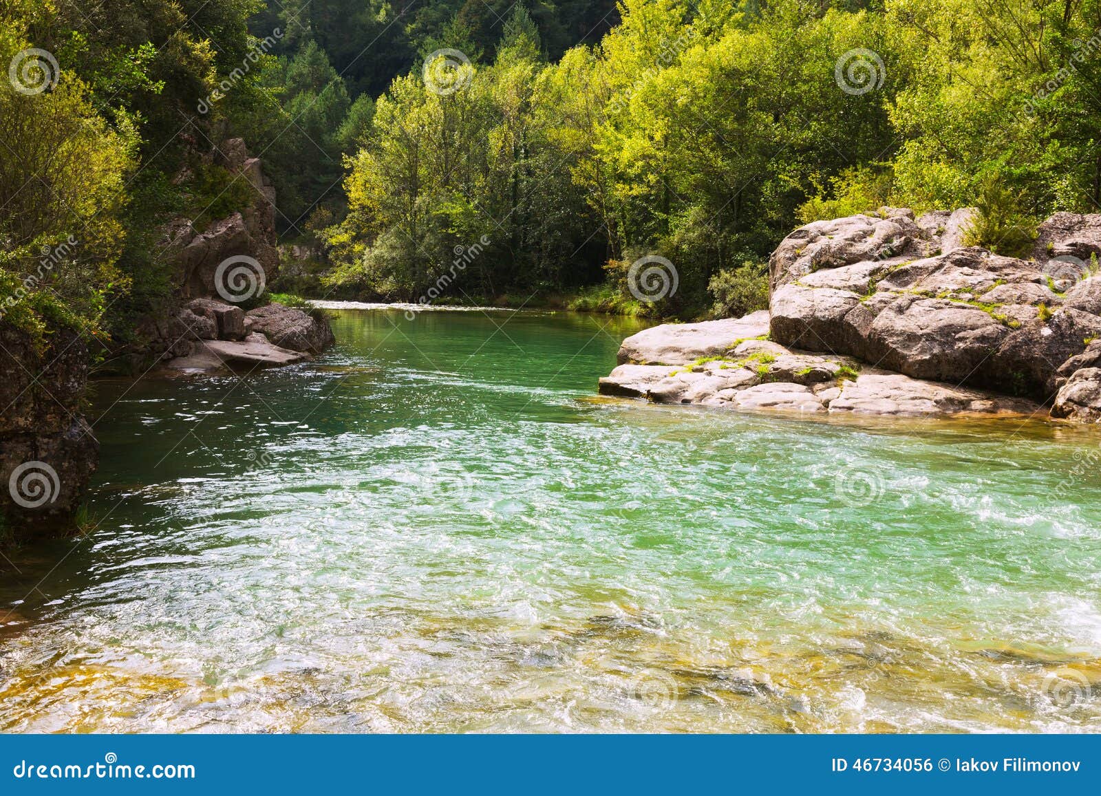 Mountains River with Forest Riverside Stock Photo - Image of forest ...
