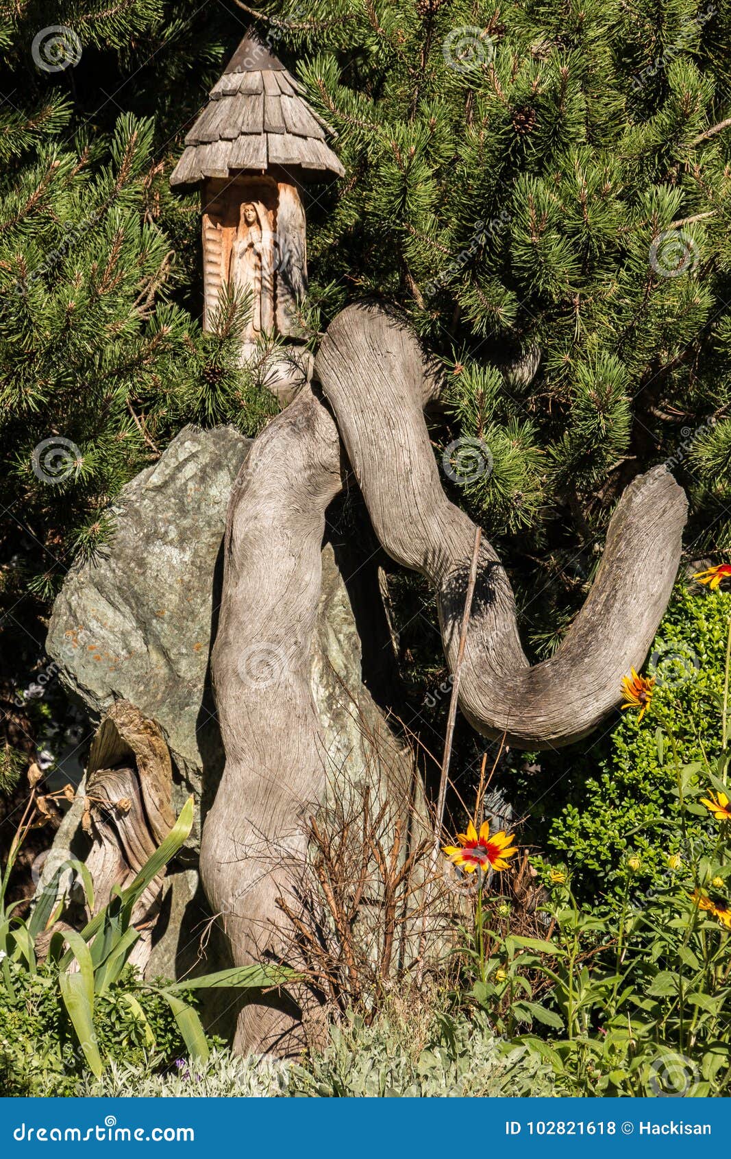 Mountains, Roots and Forest Stock Photo - Image of environment, creek ...