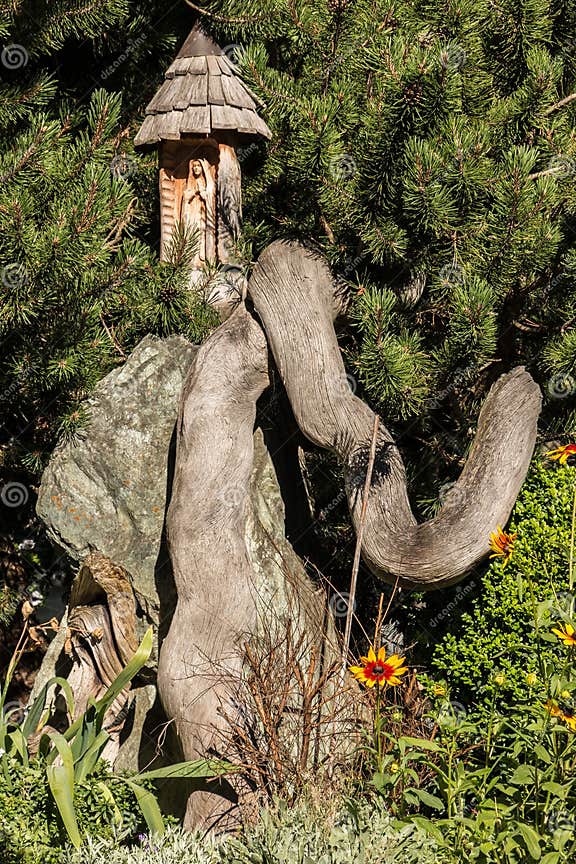 Mountains, Roots and Forest Stock Photo - Image of environment, creek ...