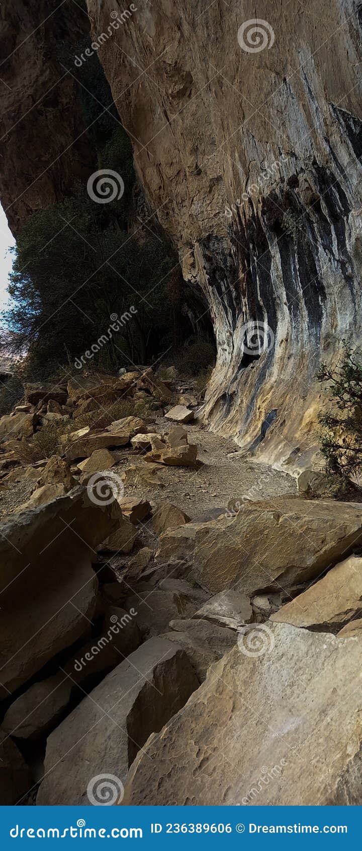 Mountains rocks hiking stock photo. Image of forest - 236389606