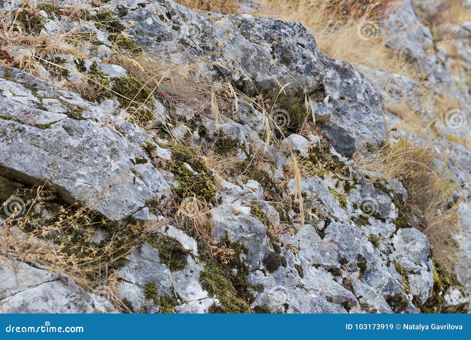Mountains, rocks stock image. Image of green, park, forest - 103173919