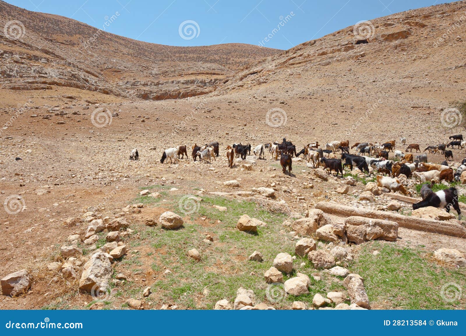 Mountains of Samaria stock photo. Image of canyon, breed - 28213584